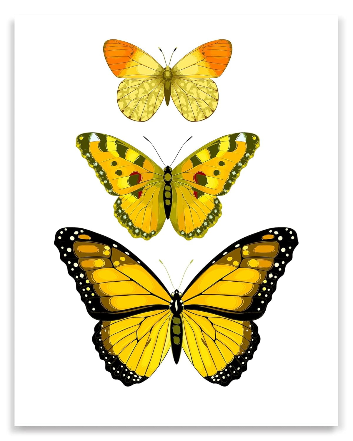 AABERIC Butterfly Wall Art Print, Vintage Butterflies Nature Watercolor, Baby Nursery and ...