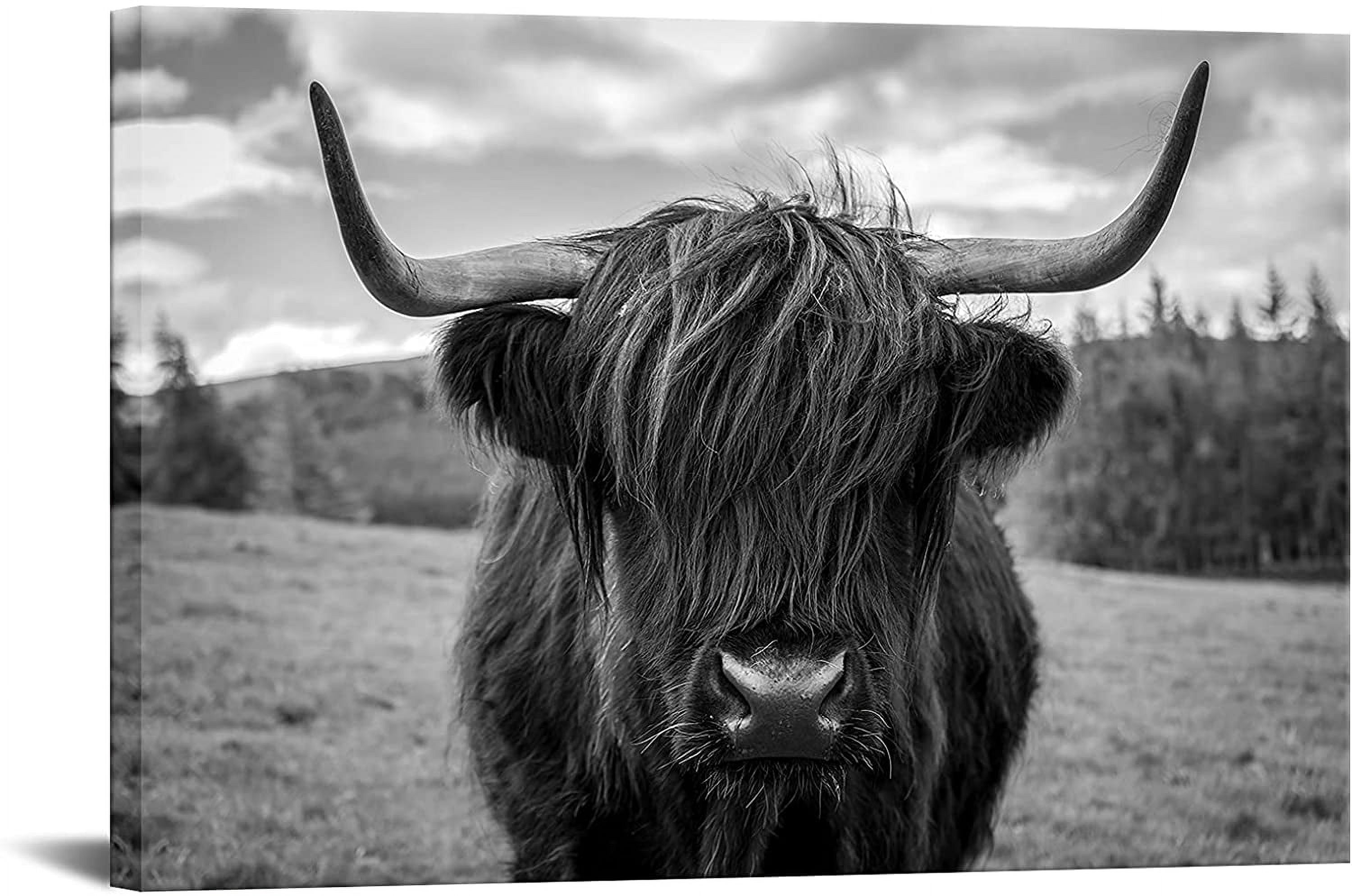 AABERIC Canvas Print Wall Art Black and White Texas Freedom Highland ...