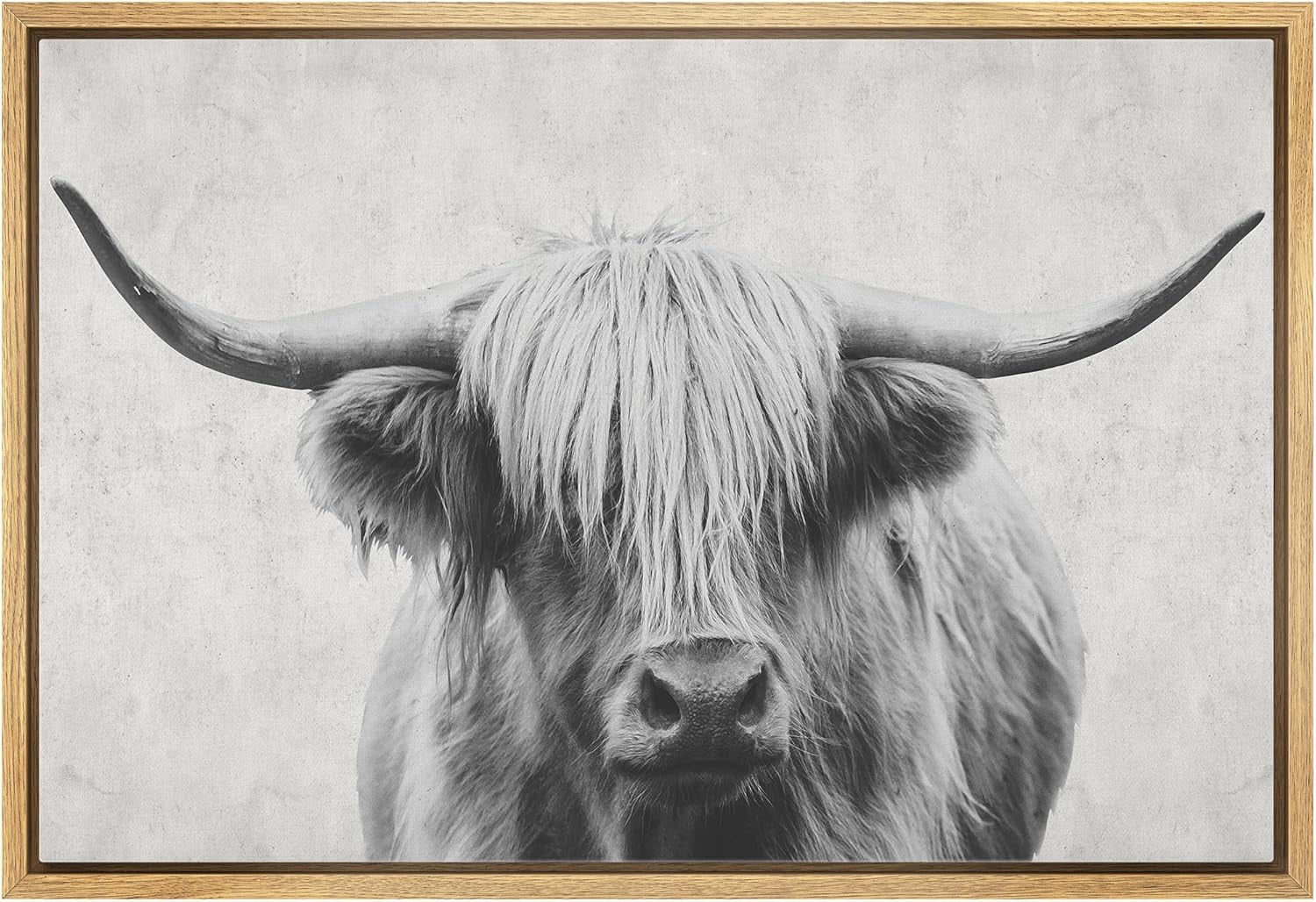 AABERIC Canvas Print Wall Art Closeup of Highland Cow Animals ...