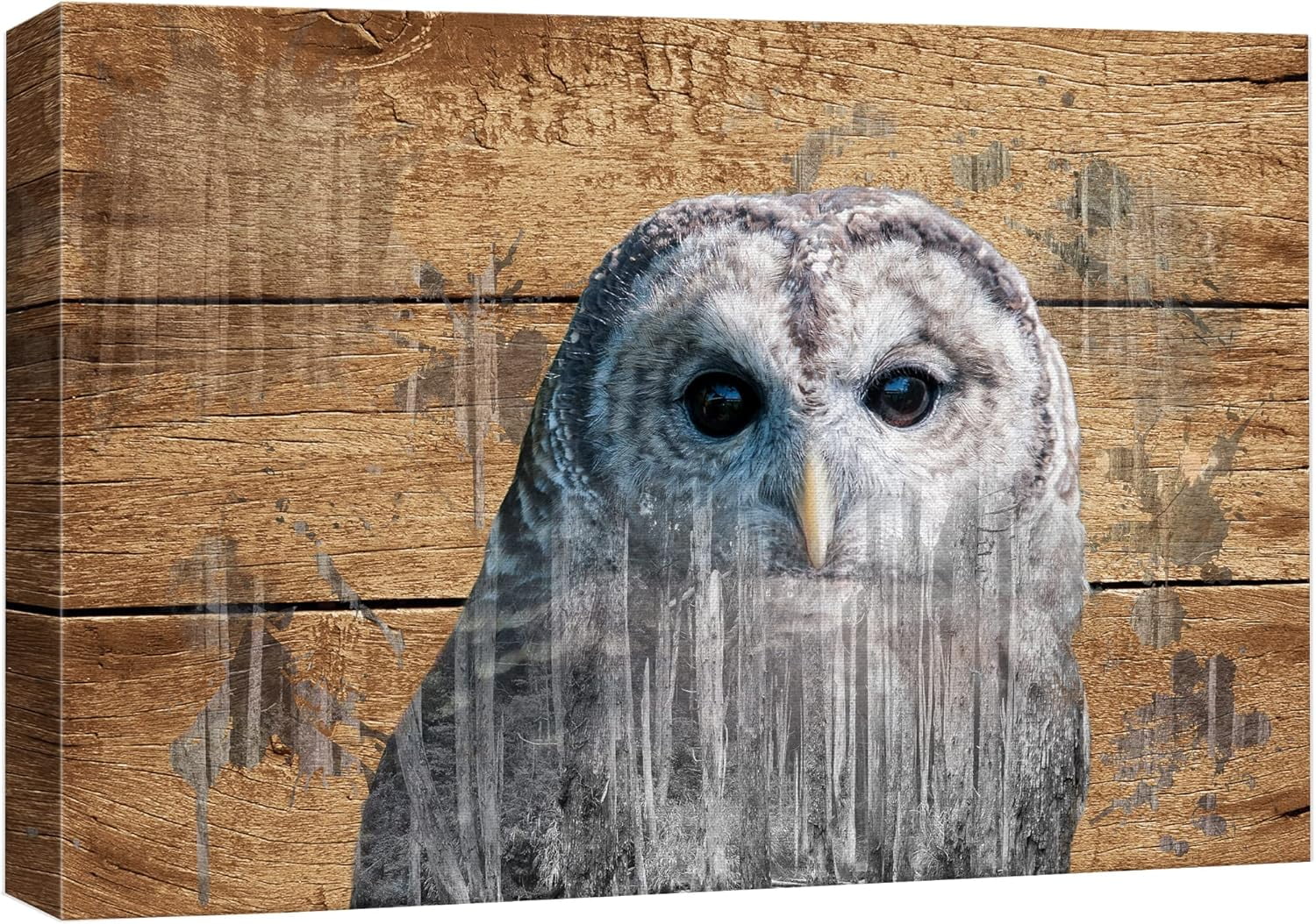 AABERIC Canvas Print Wall Art Galloping White, Brown & Black Horses ...