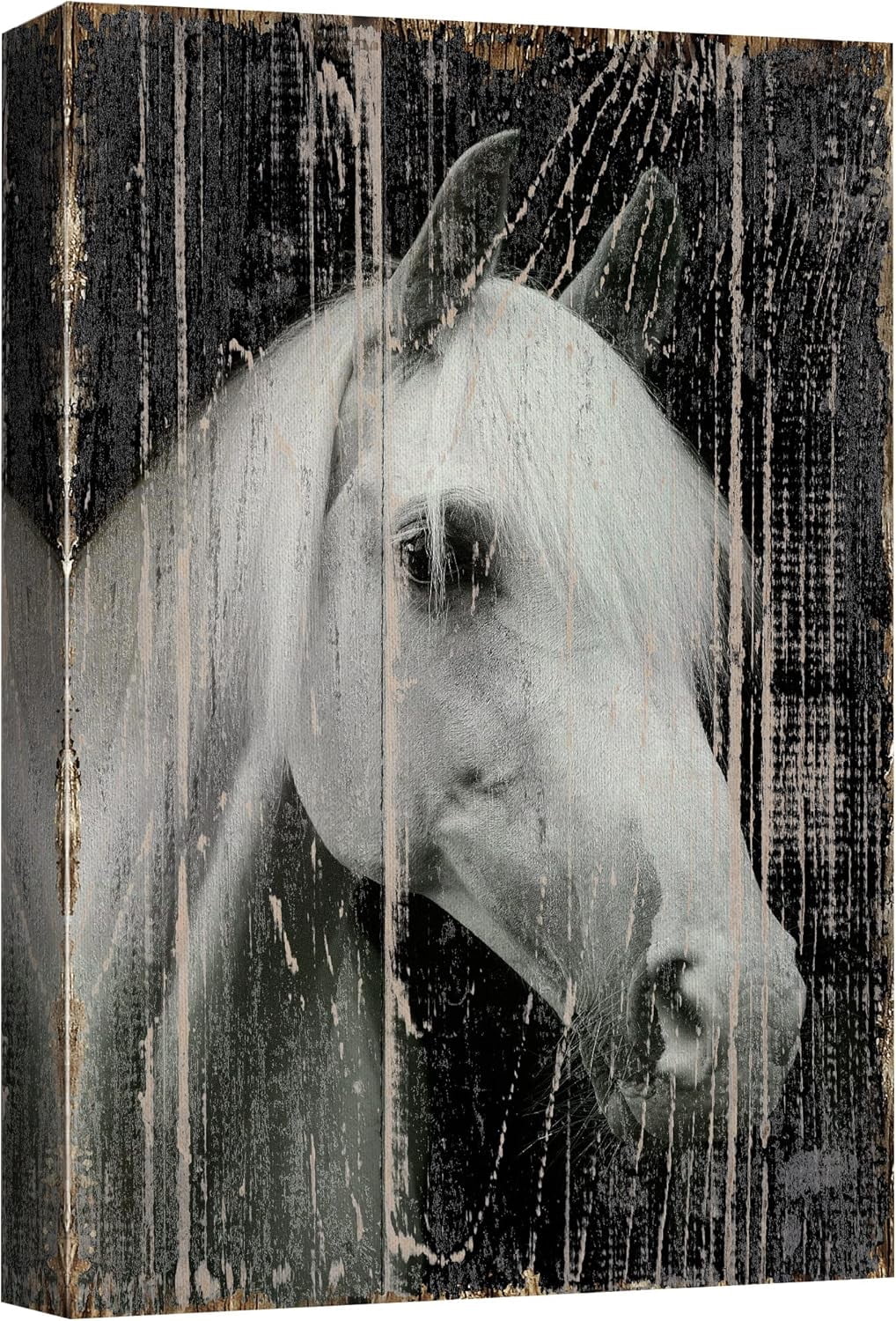 AABERIC Canvas Print Wall Art Horse Portrait on Distressed Wood Panels ...