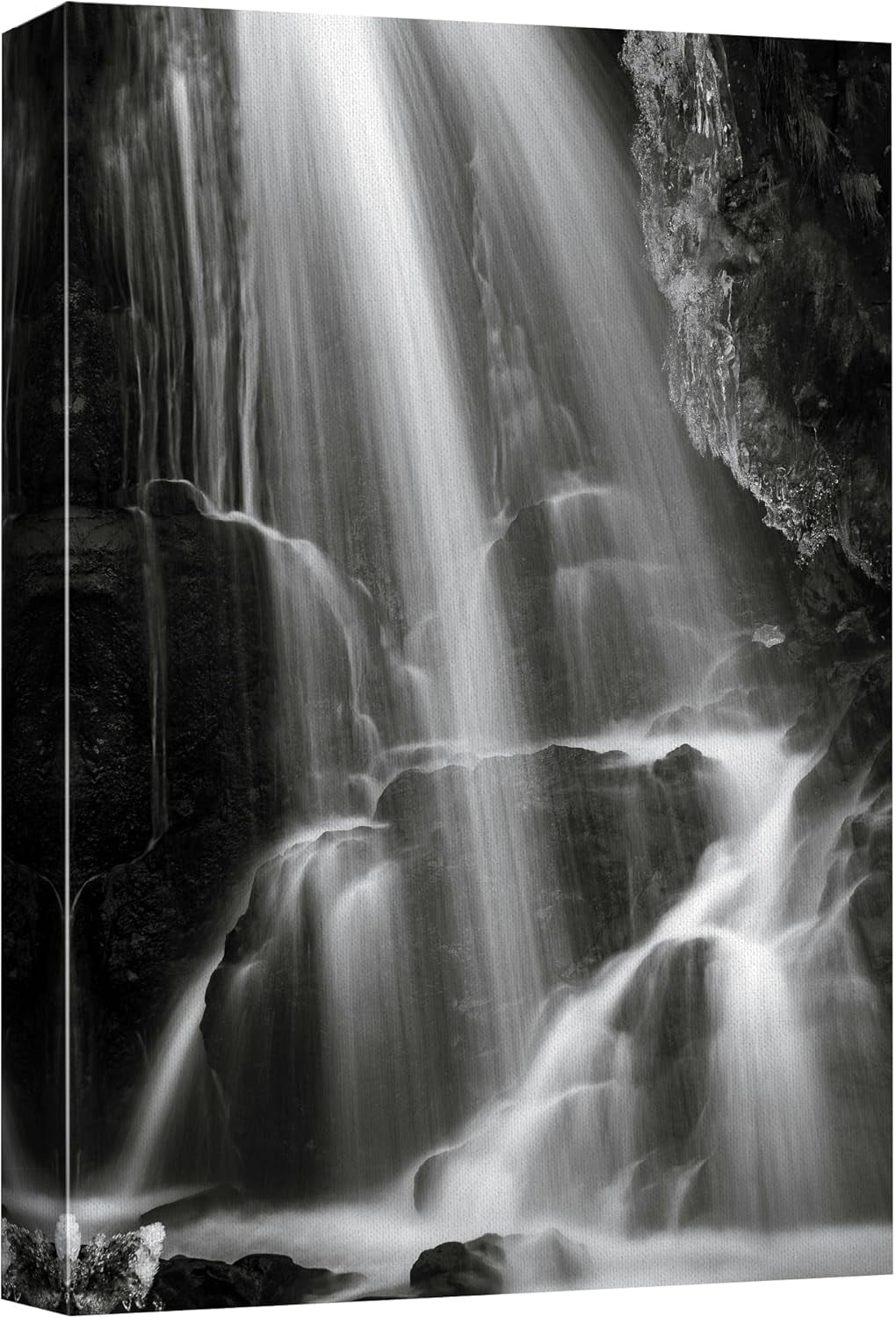 AABERIC Canvas Print Wall Art Hummingbird Flies On White Carnation ...