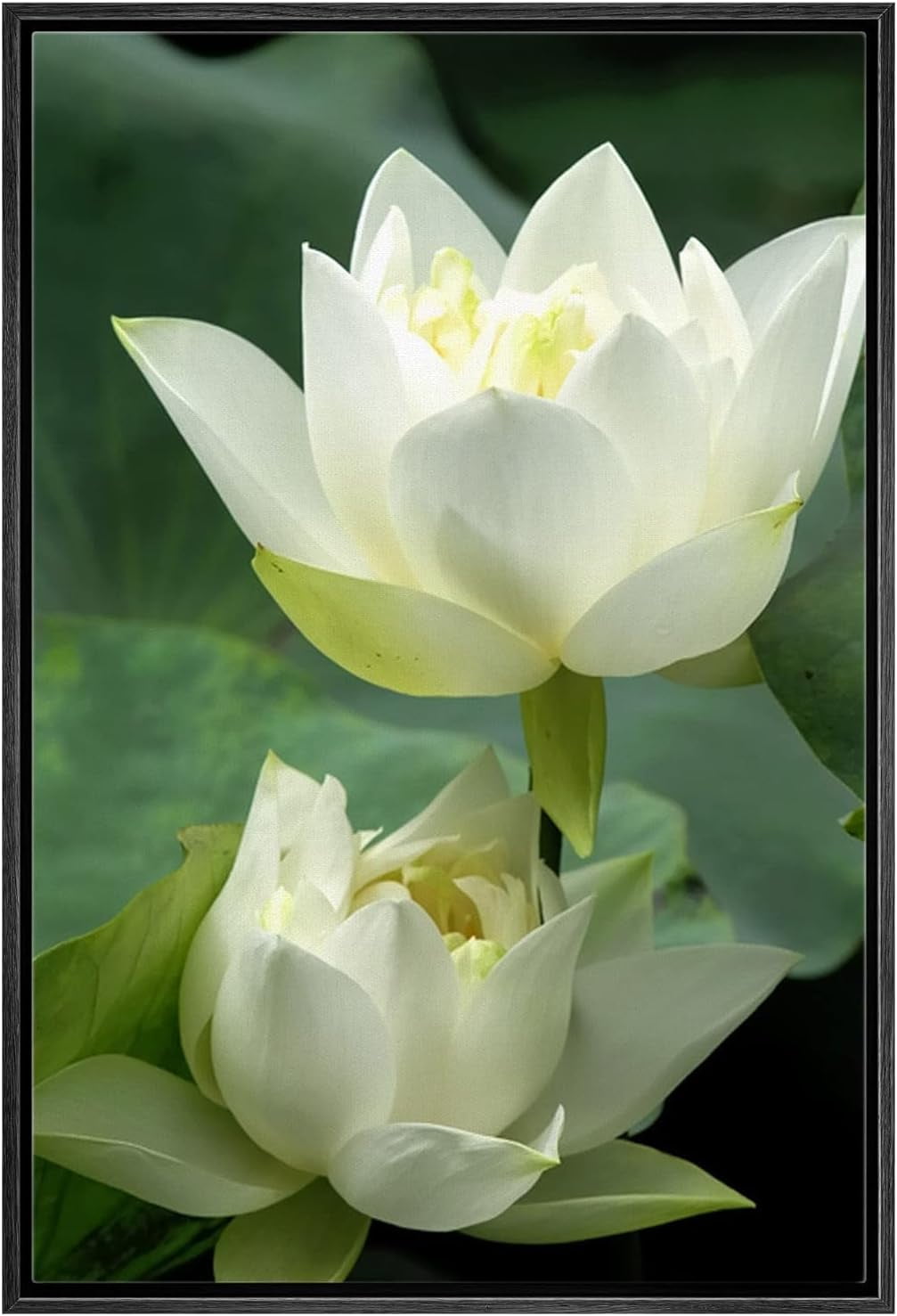 AABERIC Canvas Print Wall Art Hummingbird Flies On White Carnation ...