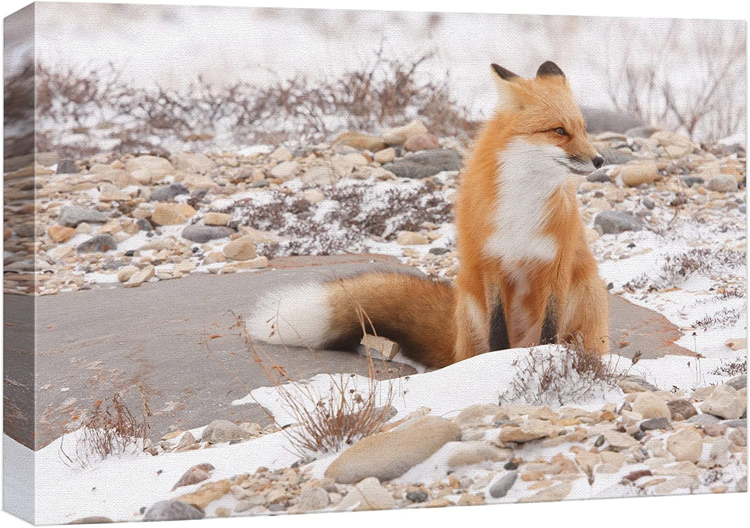 AABERIC Canvas Print Wall Art Hummingbird Flies On White Carnation ...