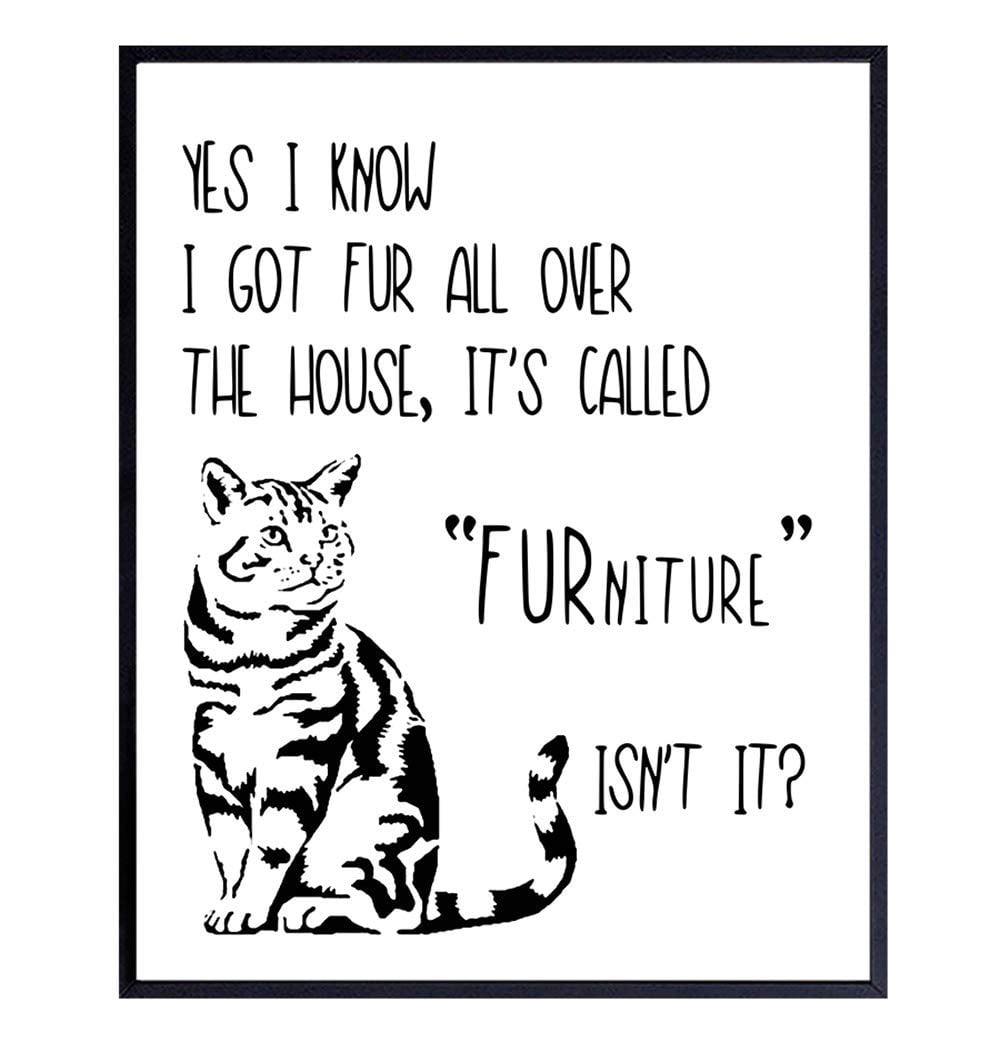 AABERIC Cat Lovers Wall Art - Funny Typography Home Decor, Room ...