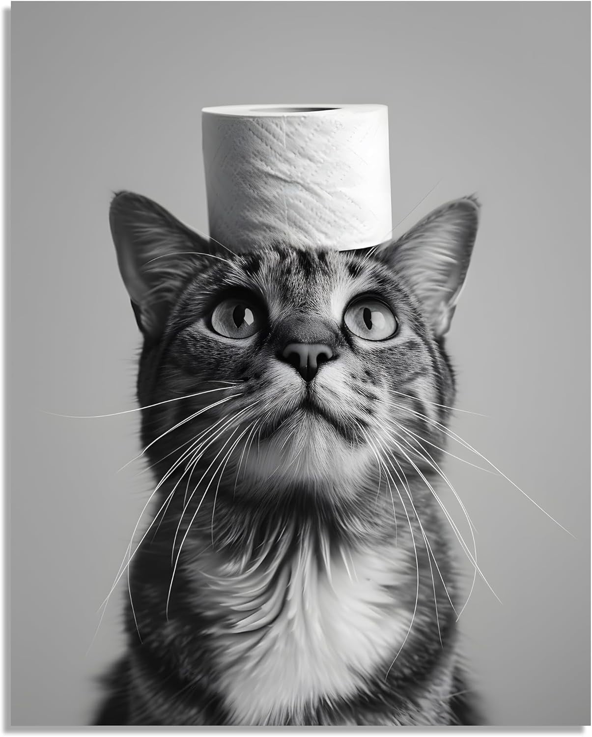 AABERIC Cat Wall Art Funny Animal Canvas Black White Cat Painting Decor ...