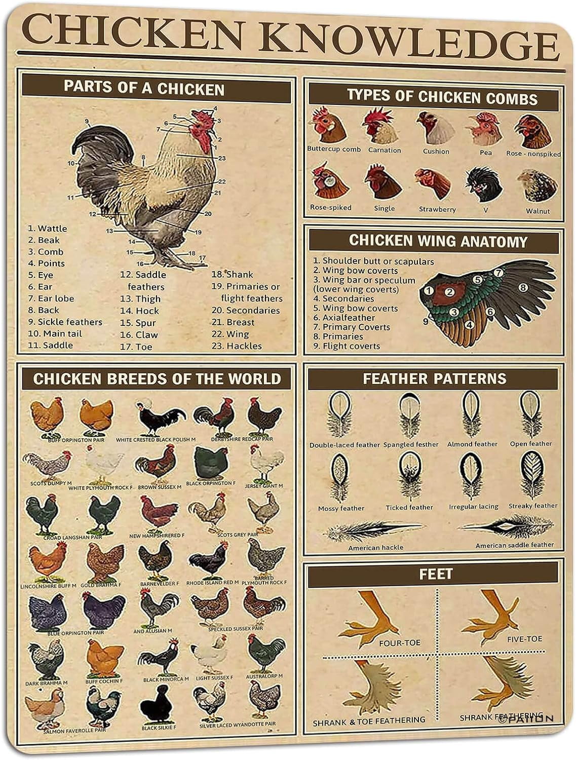 AABERIC Chicken Knowledge Metal Tin Sign Chicken Breeds of The World ...