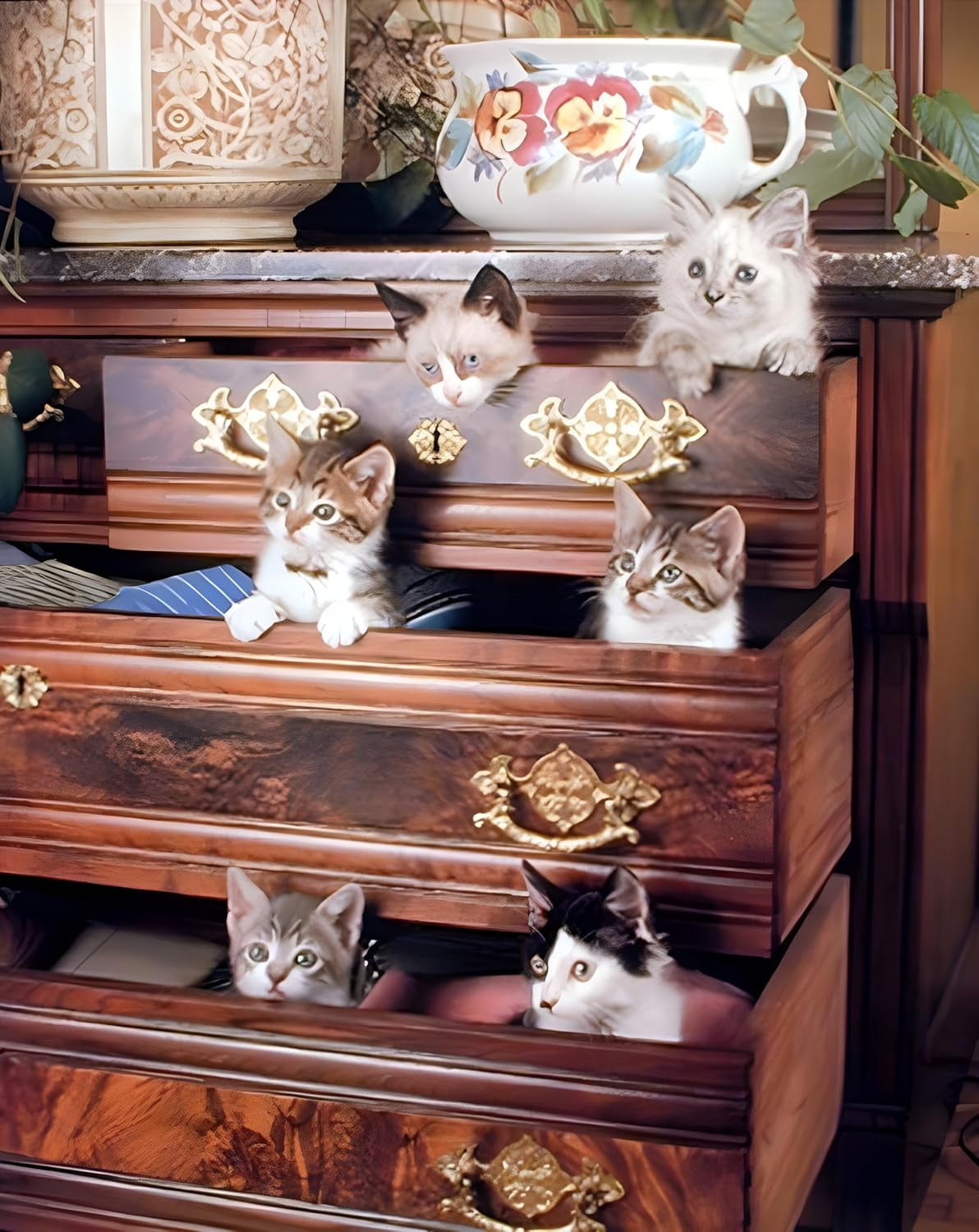 AABERIC Cute Animal Wall Decor Funny Cat Kittens in Drawers Art Print ...