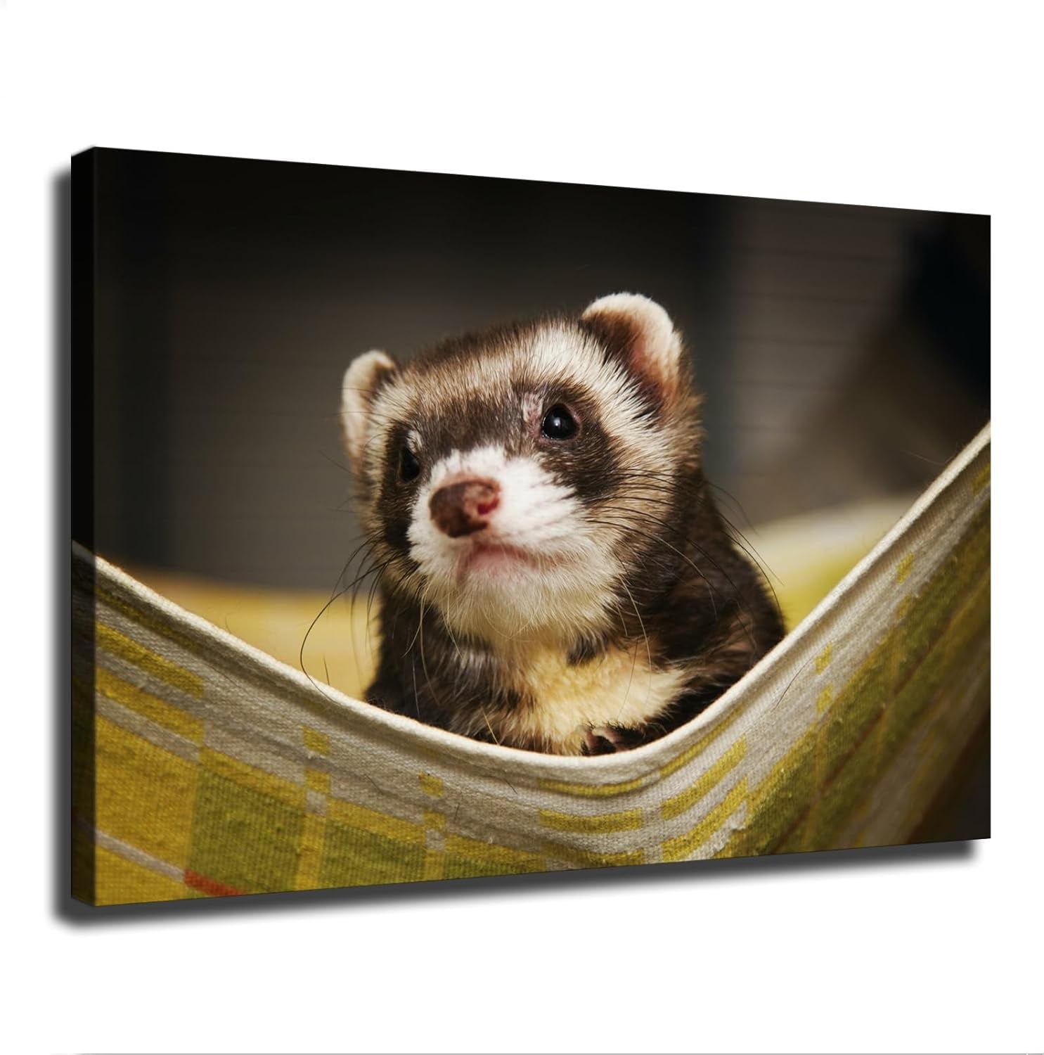 AABERIC Cute Ferret Animal Poster Picture HD Printing Modern Home ...