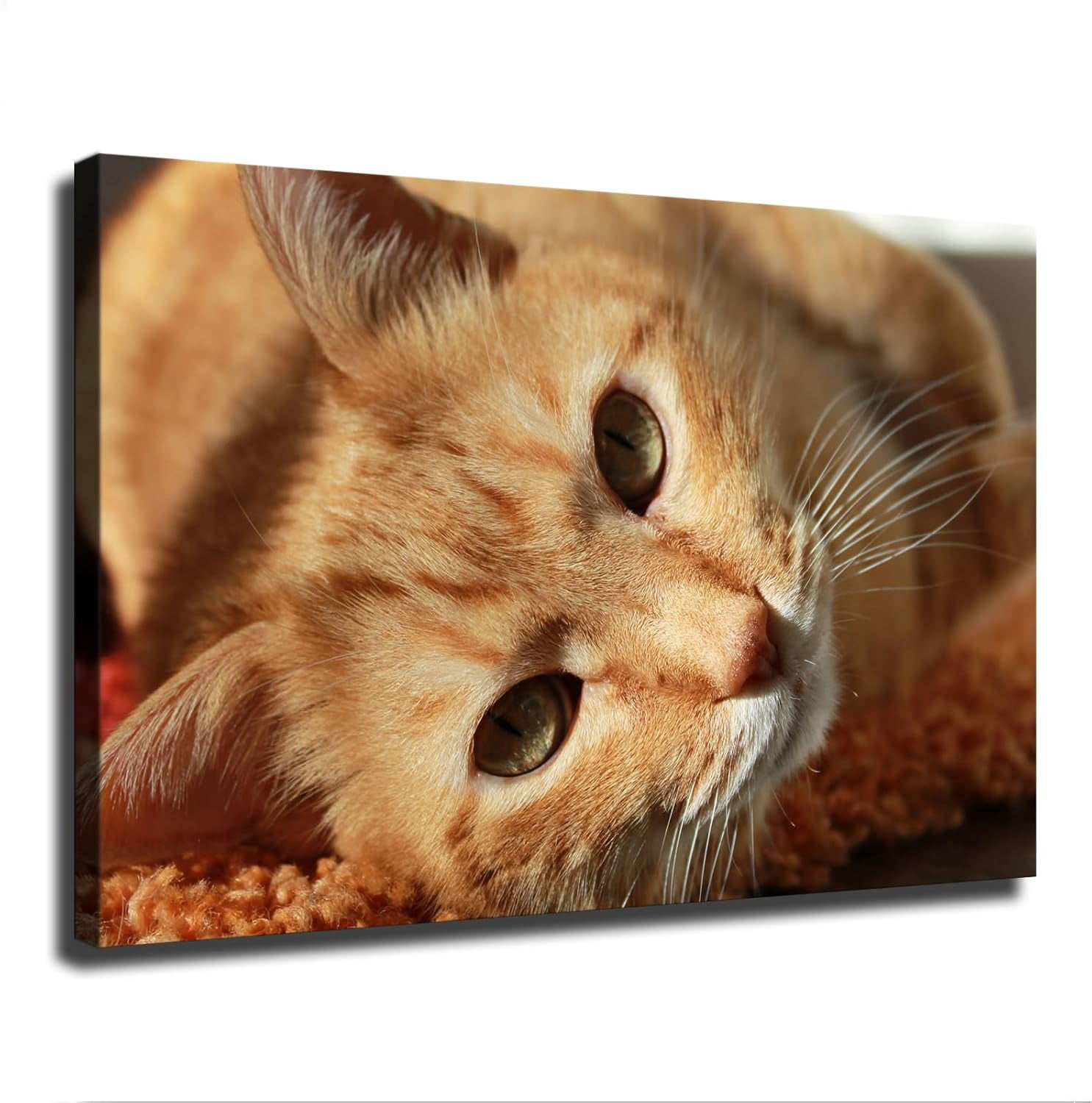 AABERIC Cute Orange Tabby Cat Animal Poster Canvas Print Wall Art ...