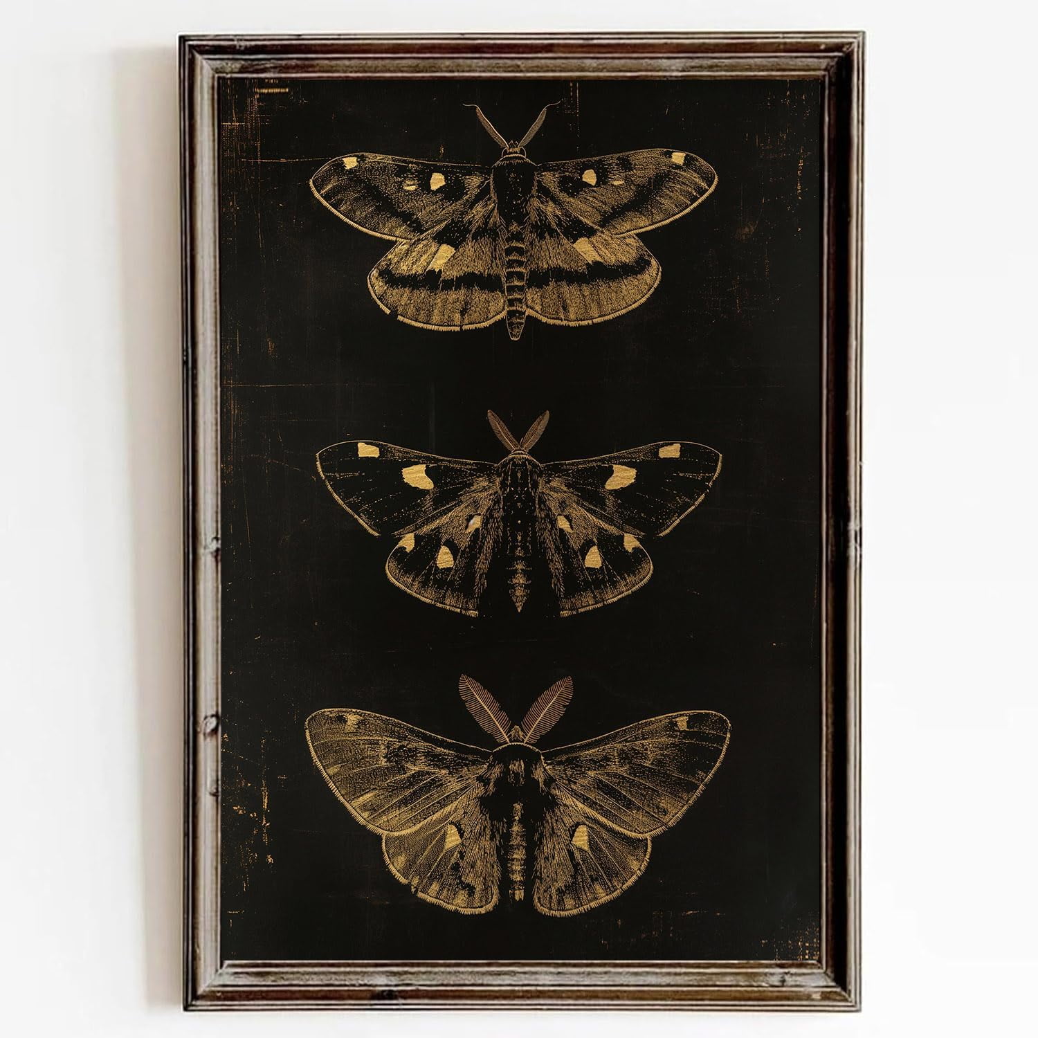 AABERIC Dark Raven Print Wall Art Black Crows Picture Black Bird Poster ...