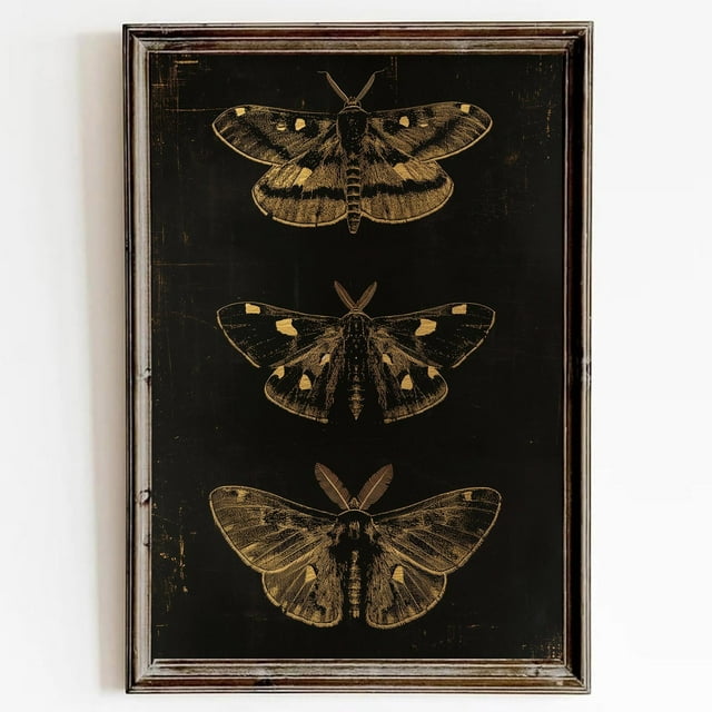 AABERIC Dark Raven Print Wall Art Black Crows Picture Black Bird Poster ...