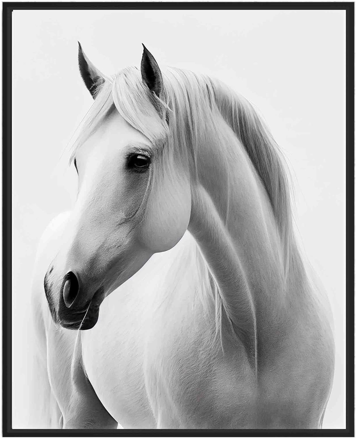 AABERIC Deer Art Prints Posters, Black and White Photography Wall Art ...