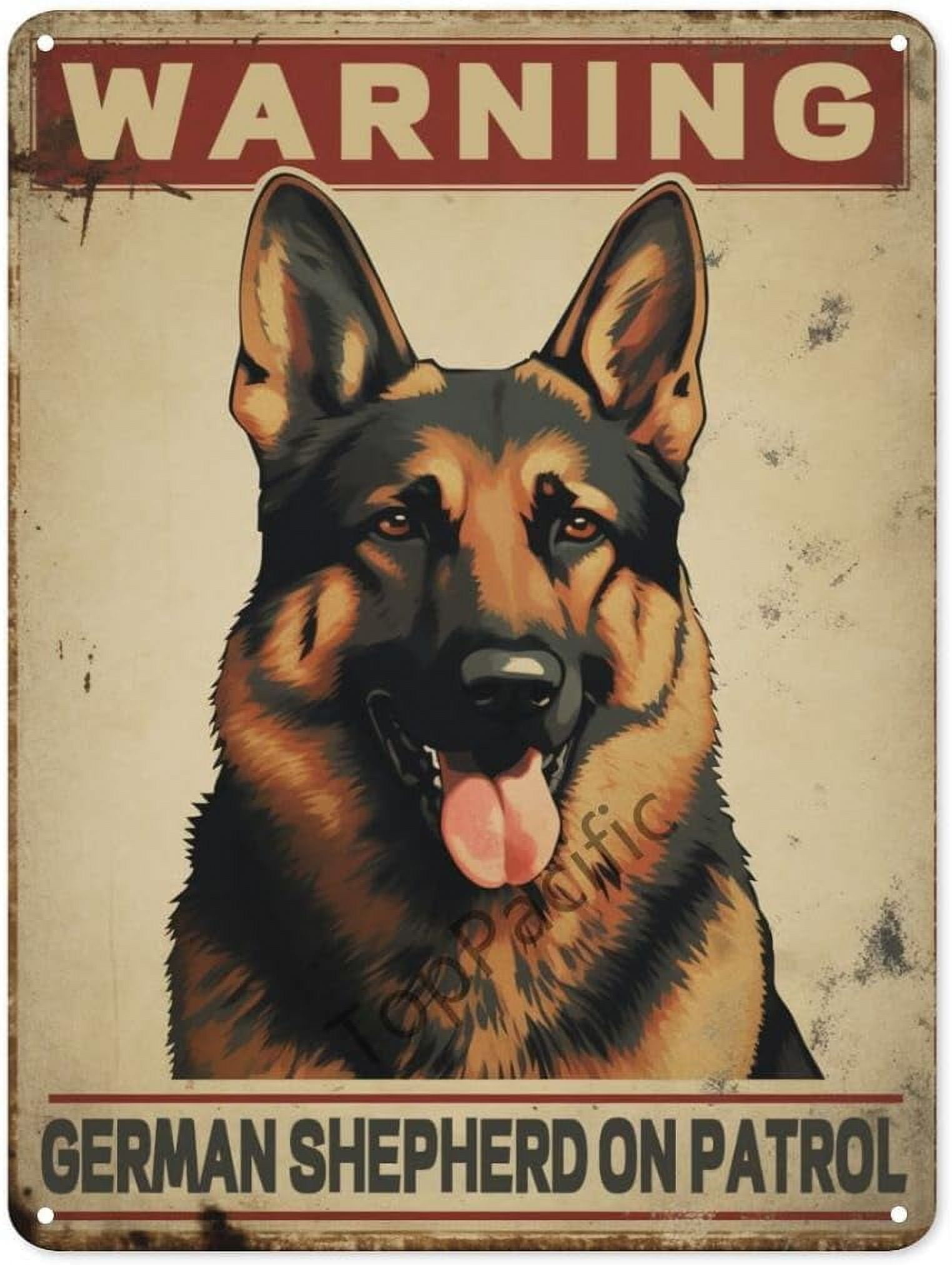 AABERIC Dog Warning Signs, Beware of The Dog Aluminum Warning Sign, UV ...