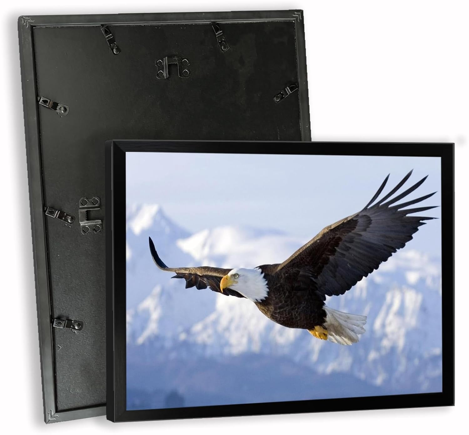 AABERIC Eagle Canvas Print Eagle Mural Animal Wall Art Wildlife Art ...