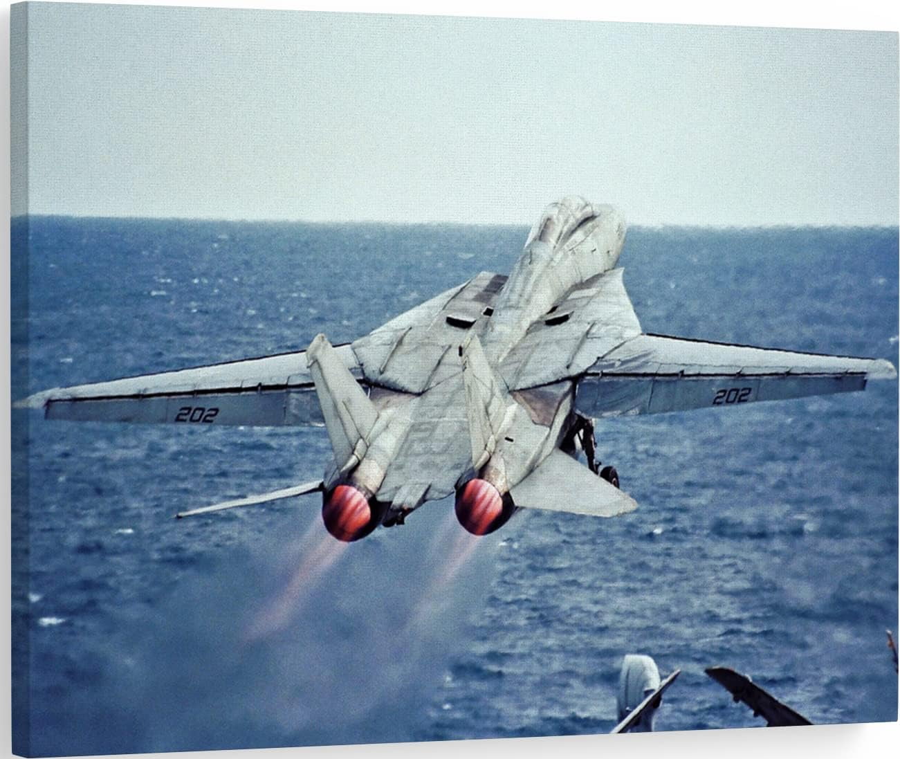 AABERIC F-14 Airplane Canvas Wall Art Prints Tomcat F-14 Fighter Jet ...