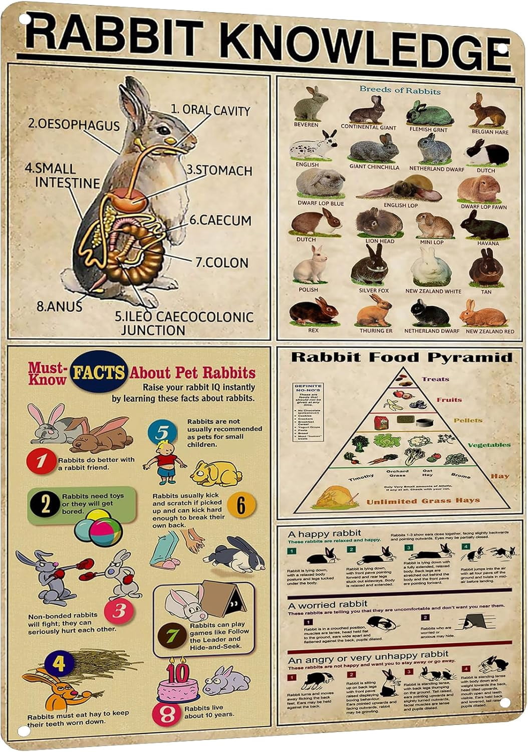 AABERIC F Rabbit Knowledge Metal Posters Breeds & Anatomy Tin Posters ...