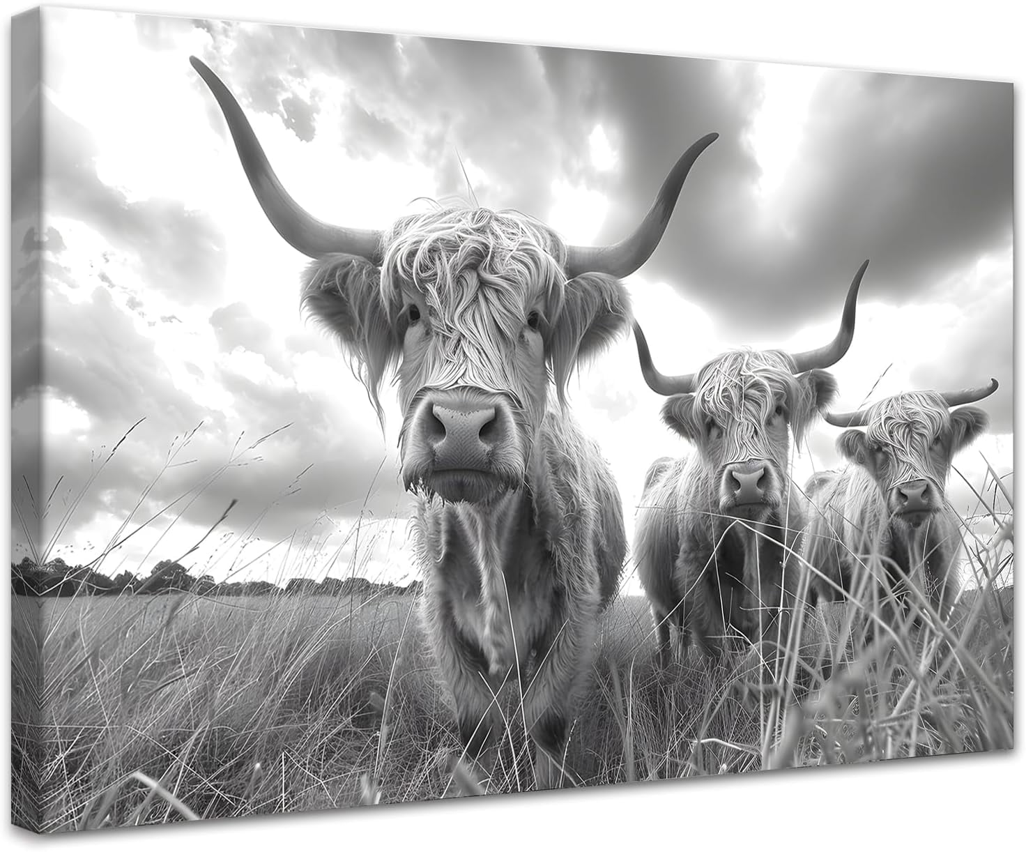 AABERIC Farm Highland Cow Wall Art Black and White Highland Cow Canvas ...