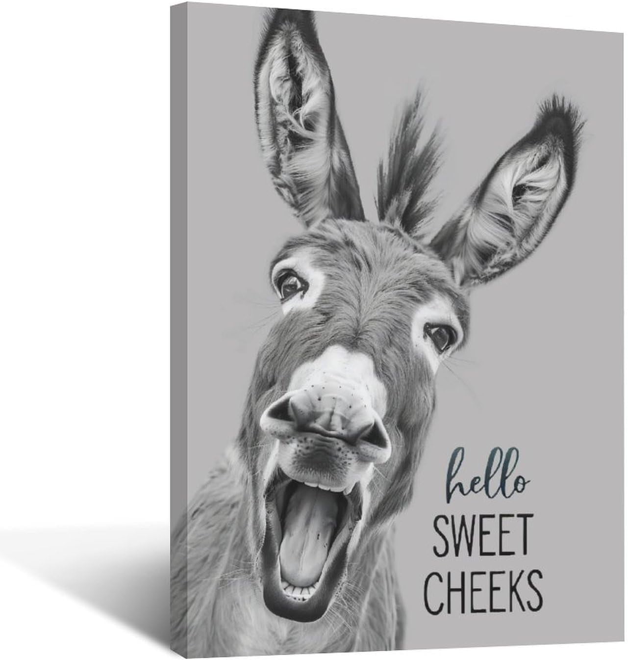 AABERIC Farmhouse Donkey Bathroom Wall Art Funny Donkey Poster Pictures ...
