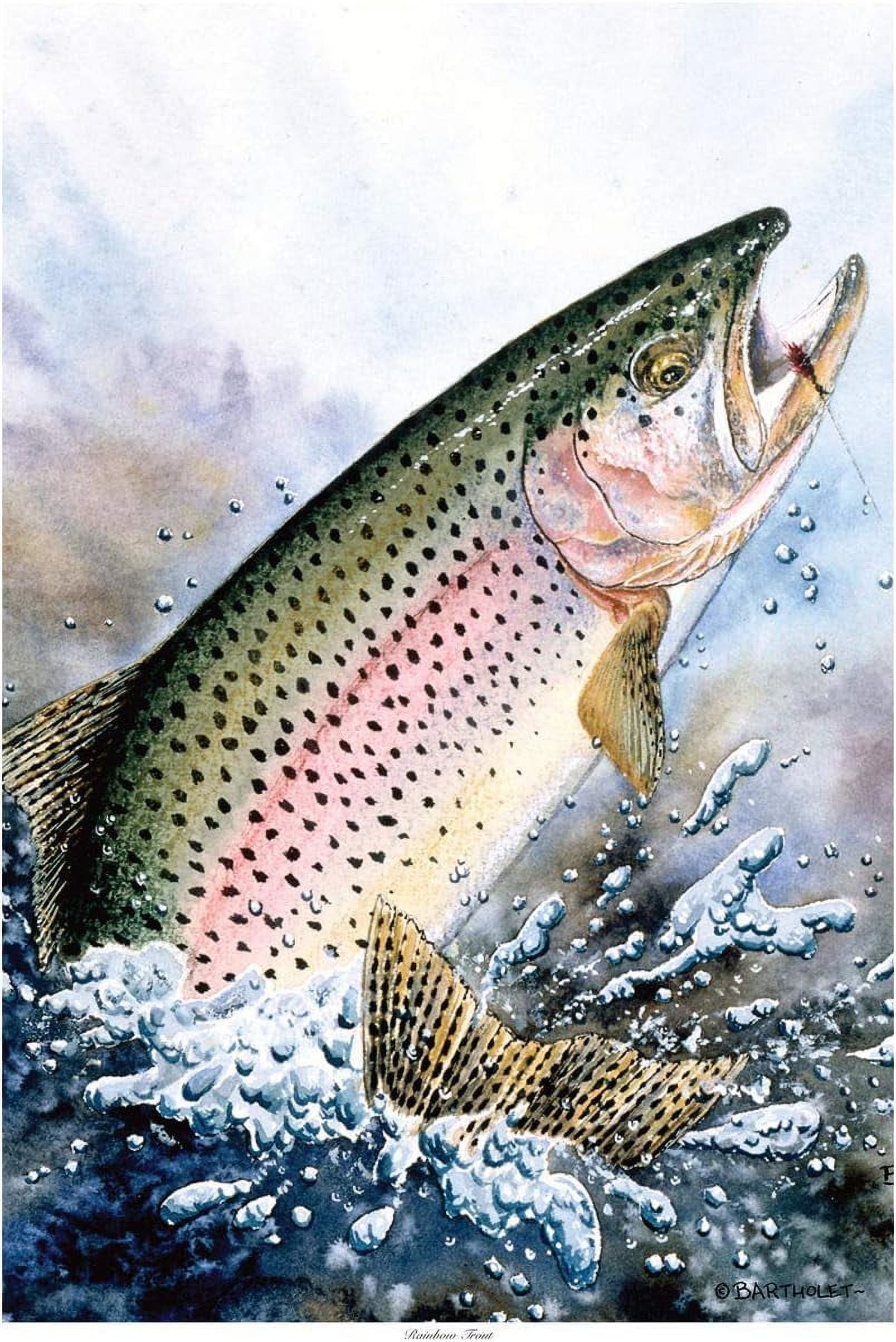 AABERIC The - Fish Poster Rainbow Trout Decor, Giclee Art Print Poster ...