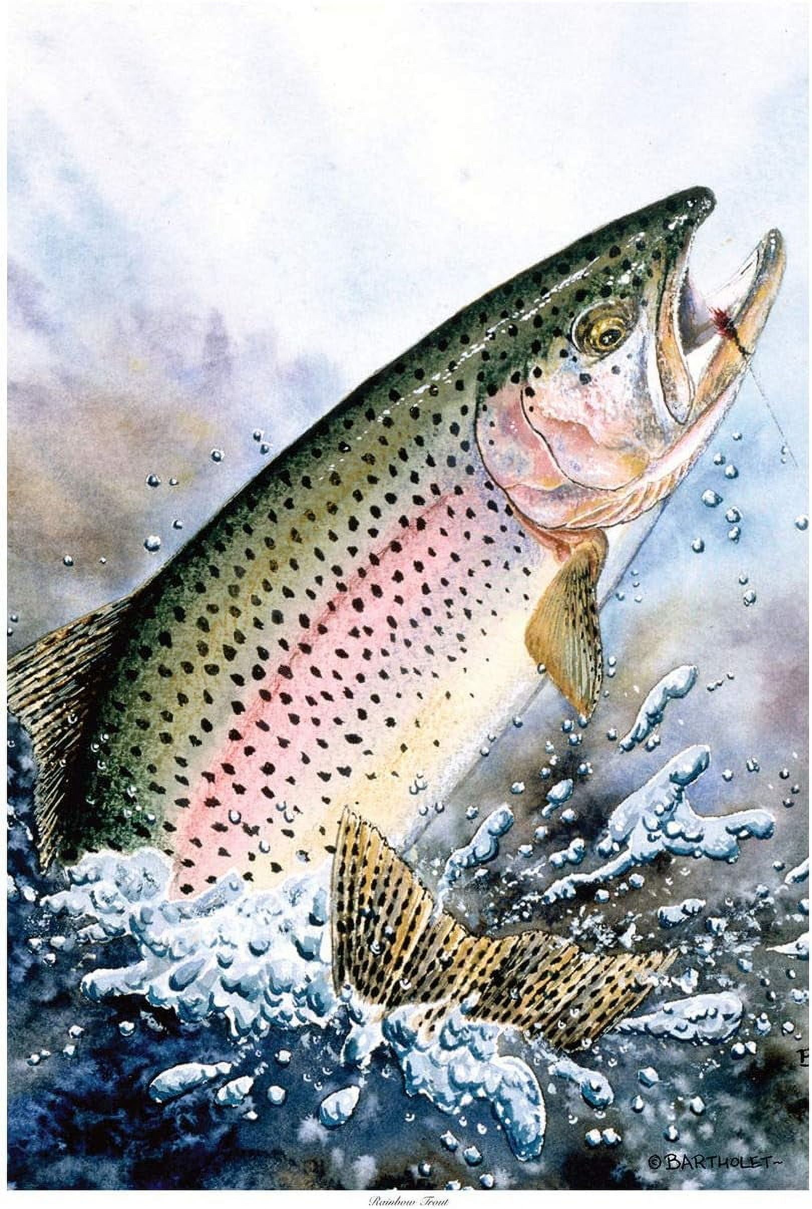 AABERIC The - Fish Poster Rainbow Trout Decor, Giclee Art Print Poster ...