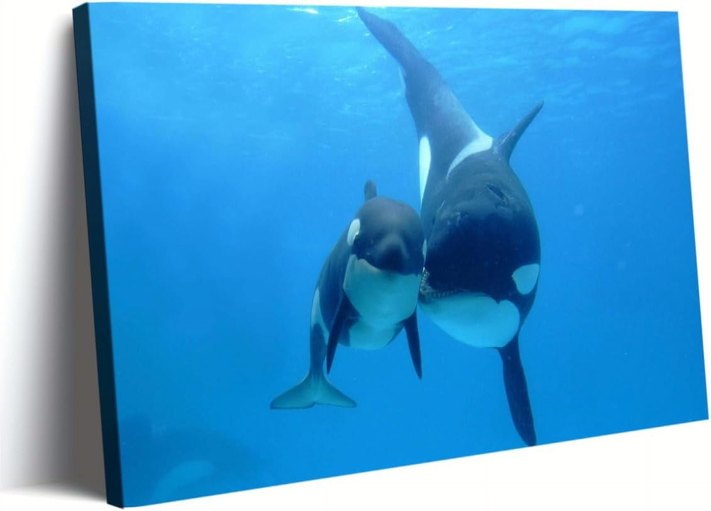 AABERIC Fun Animal Wall Art Orca Killer Whale Under Sea Poster Canvas ...