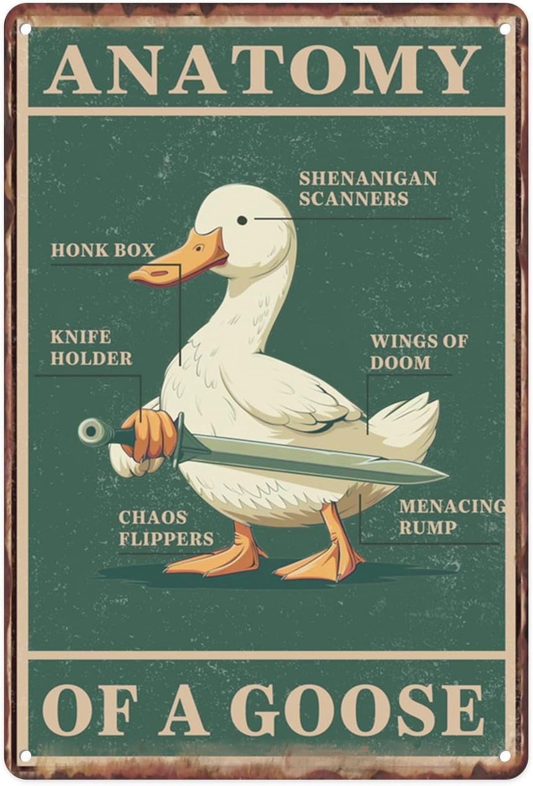 AABERIC Funny Goose Duck Metal Sign Anatomy Of A Goose Knowledge Tin ...