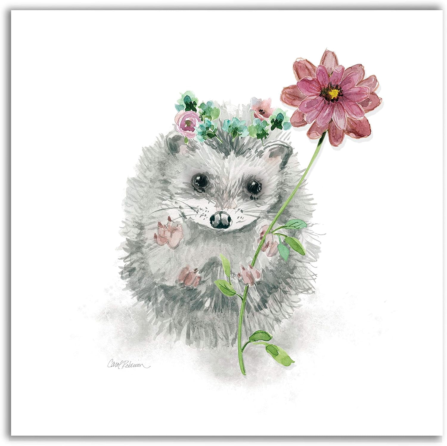 AABERIC Garden Critter Possum Animal Decor for Nursery, Kid Room ...