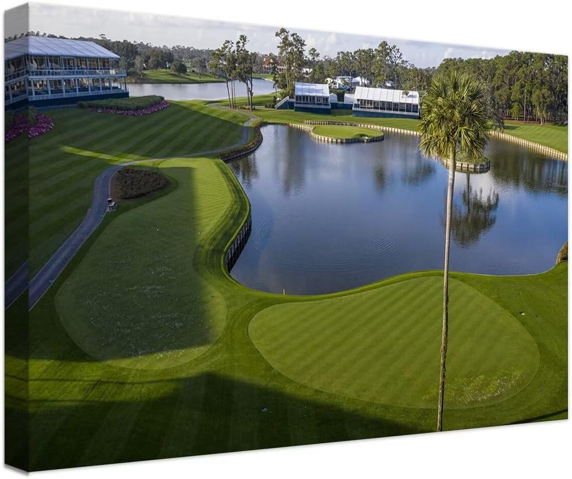 AABERIC Golf Poster Wall Art Picture Golf Ball Sport Canvas Prints Wall ...