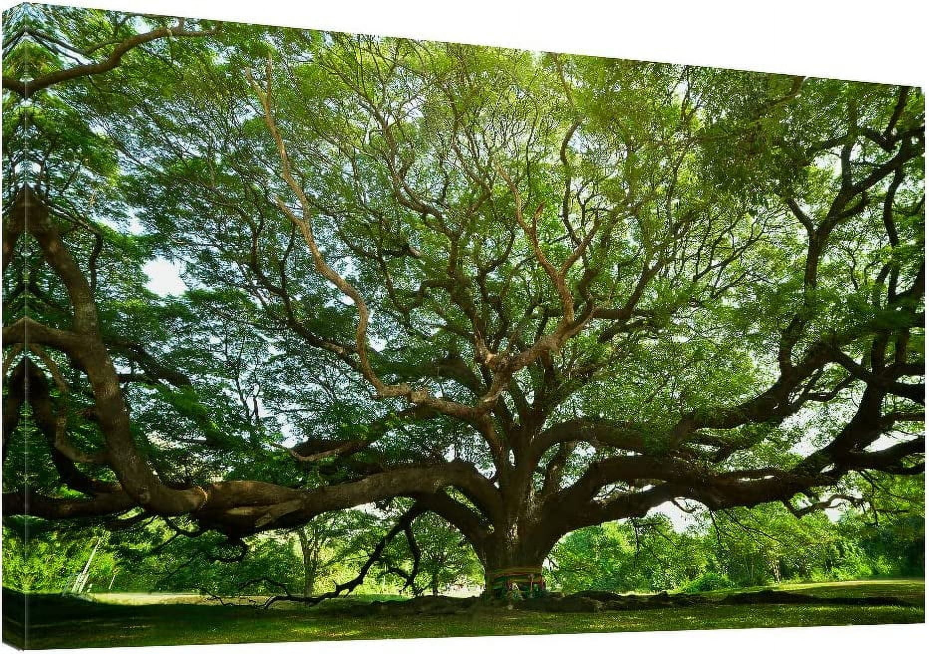 AABERIC Green Big Tree Canvas Wall Art -Large Nature Tree Art Wall ...