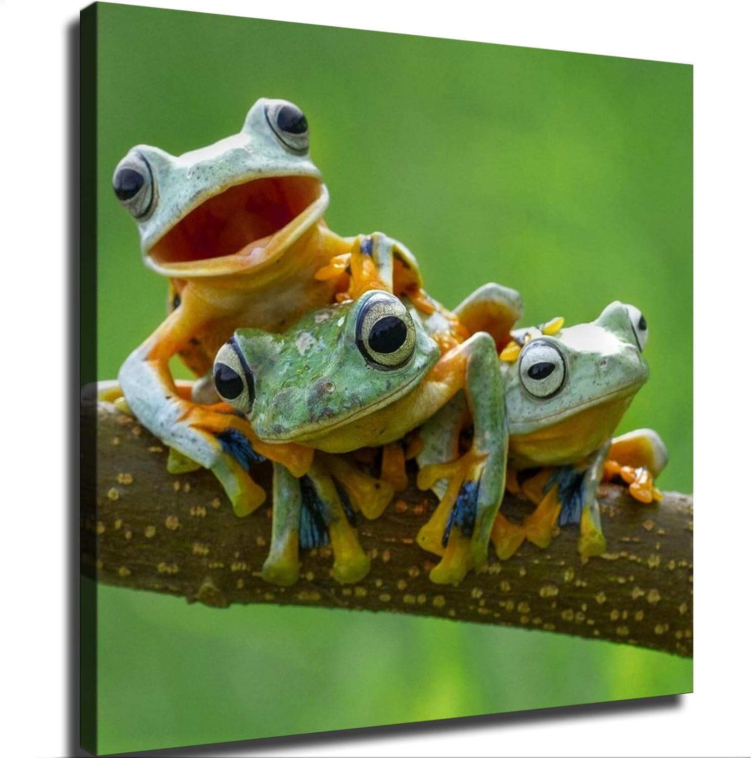 AABERIC Happy Tree Frog Reptile Cute Animals Wall Art Poster Gifts ...