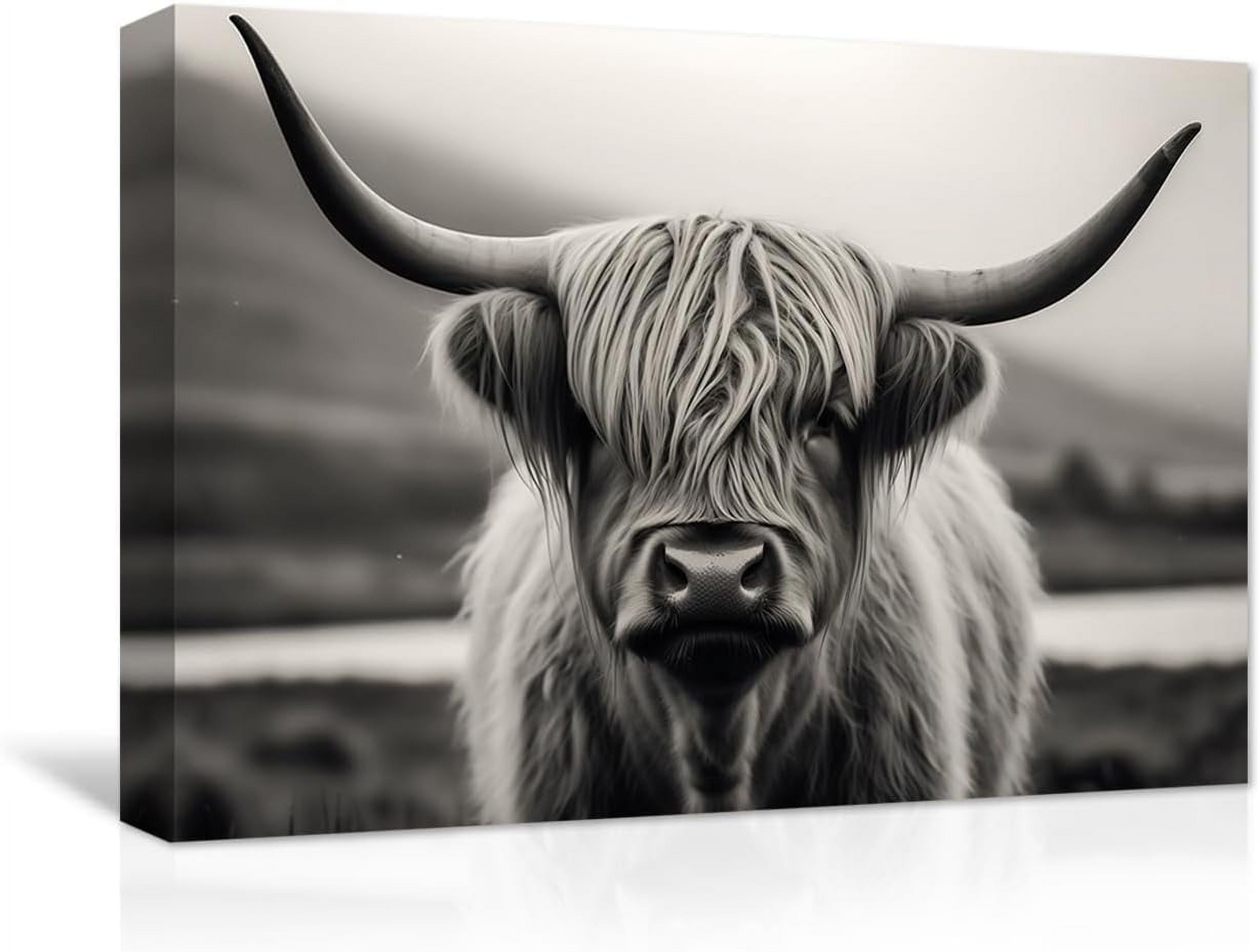 AABERIC Highland Cow Canvas Wall Art Black and White Cattle Painting ...