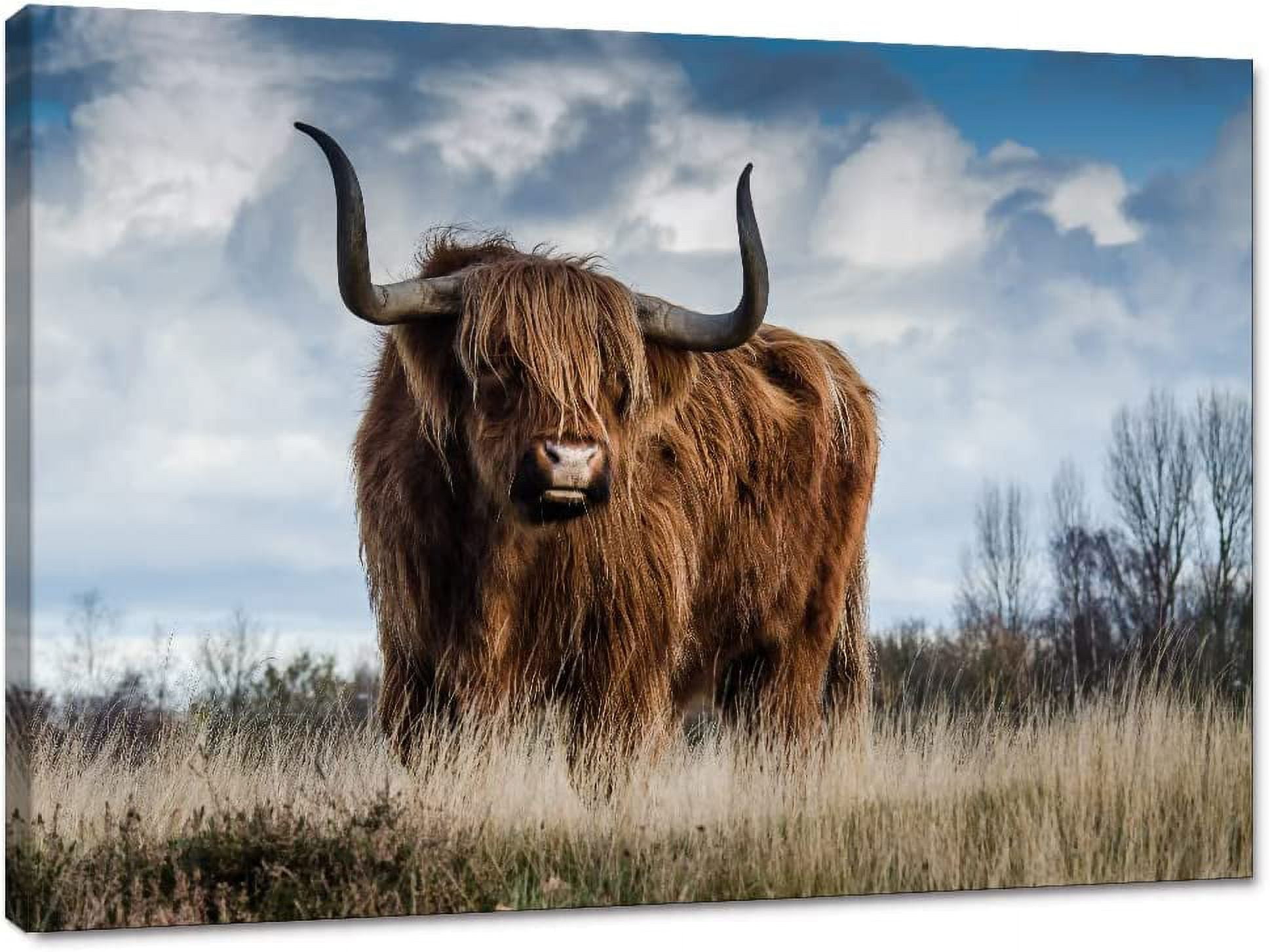 AABERIC Highland Cow Decor Cute Animal Vintage Picture Modern Canvas ...