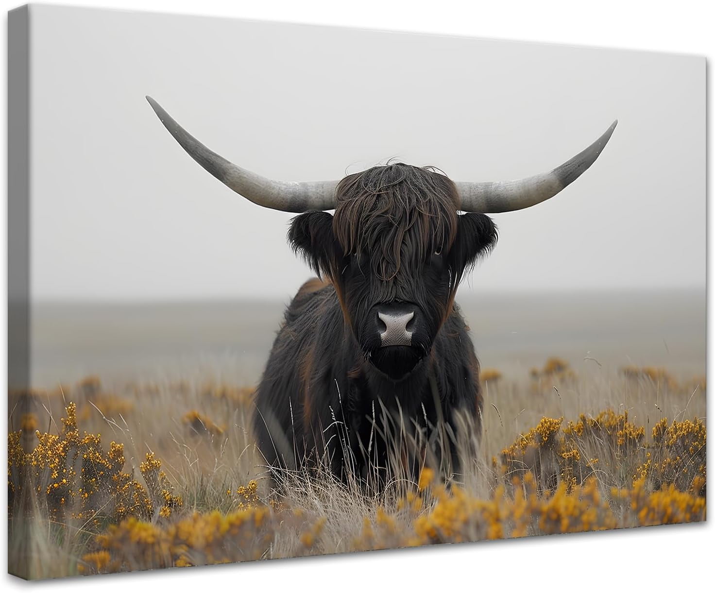 AABERIC Highland Cow Wall Art Bathroom Highland Cow Art Print Scottish ...