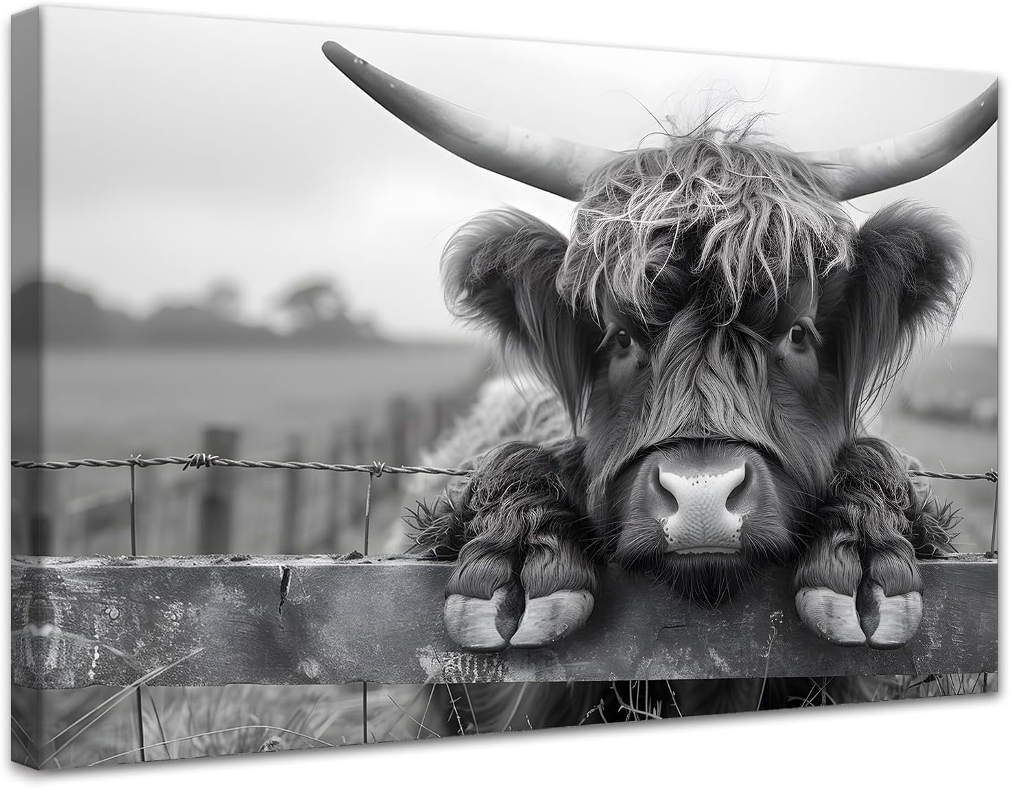 AABERIC Highland Cow Wall Art Longhorn Cow Canvas Wall Art Modern Cow ...