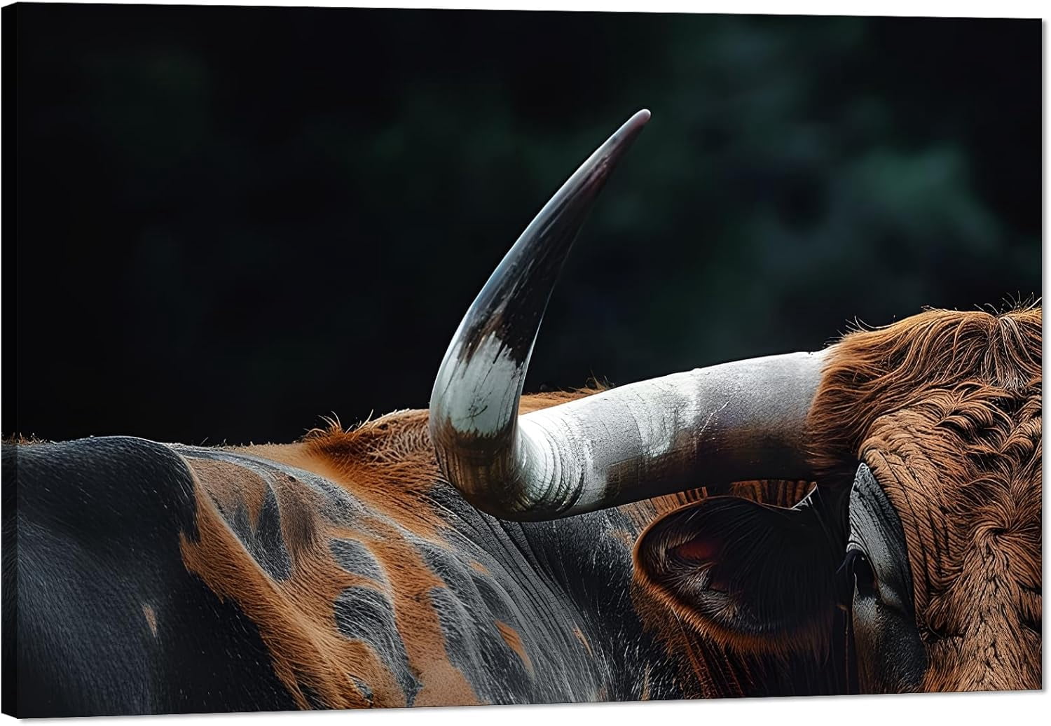 AABERIC Highland Cow Wall Art Modern Highland Cow Canvas Art Black and ...