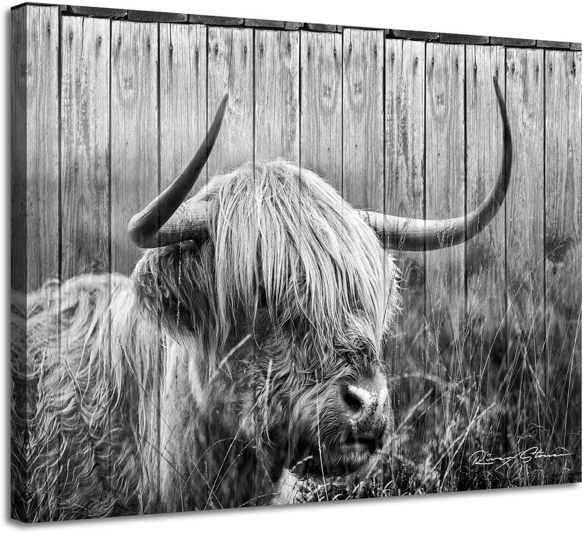 AABERIC Highland cow Wall Art Black and White Highlander cow picture ...