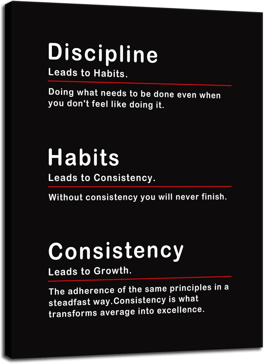 AABERIC Inspirational Canvas Office Print Wall Art Discipline Habits ...