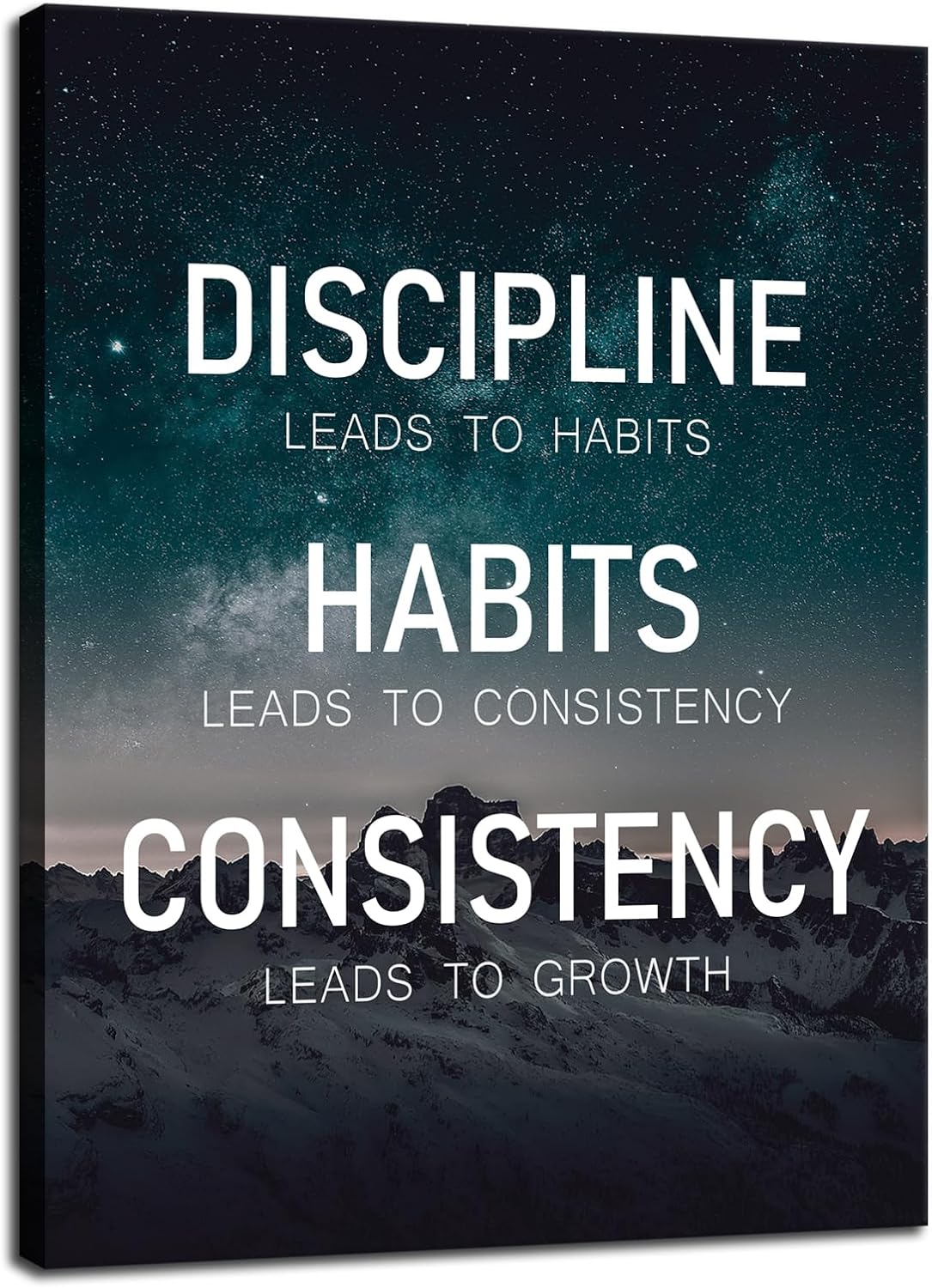 AABERIC Inspirational Wall Art Discipline Consistency Noun Motivational ...