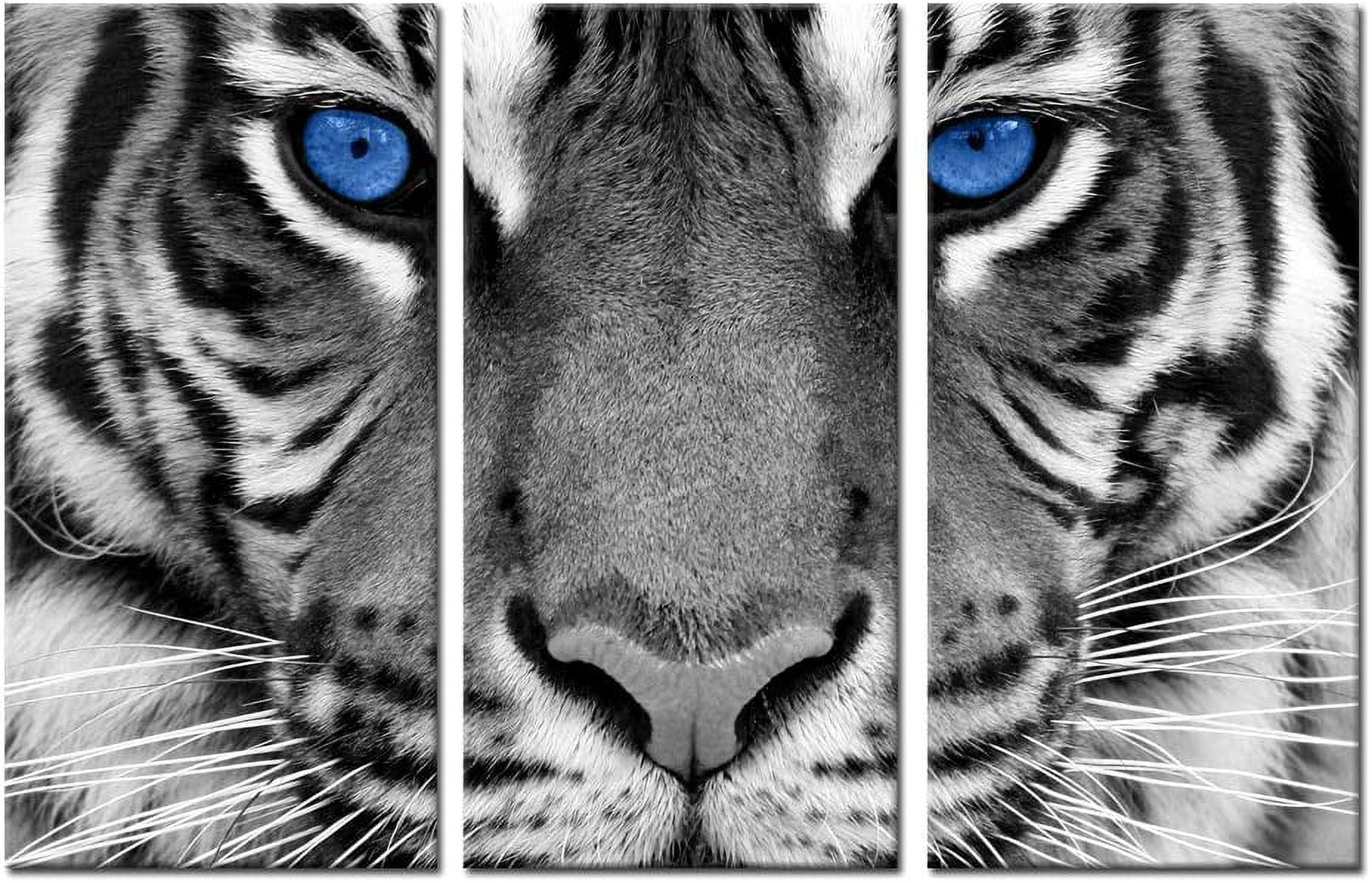 AABERIC Large 3 Pieces Canvas Prints Wall Art Blue Eyed Tiger Poster ...
