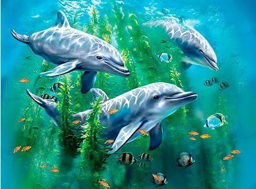 AABERIC Lenticular Wall Art Prints - Dolphin Kelp Bed from Deluxebase ...