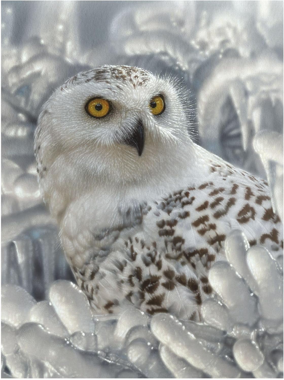 AABERIC Lenticular Wall Art Prints - Snowy Owl Sanctuary from ...