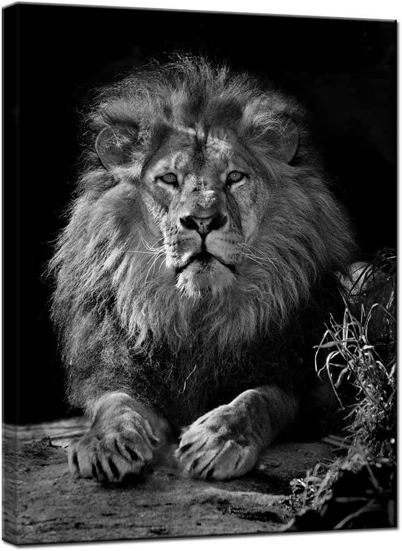 AABERIC Lion Canvas Wall Art Modern Black and White Animal Picture ...