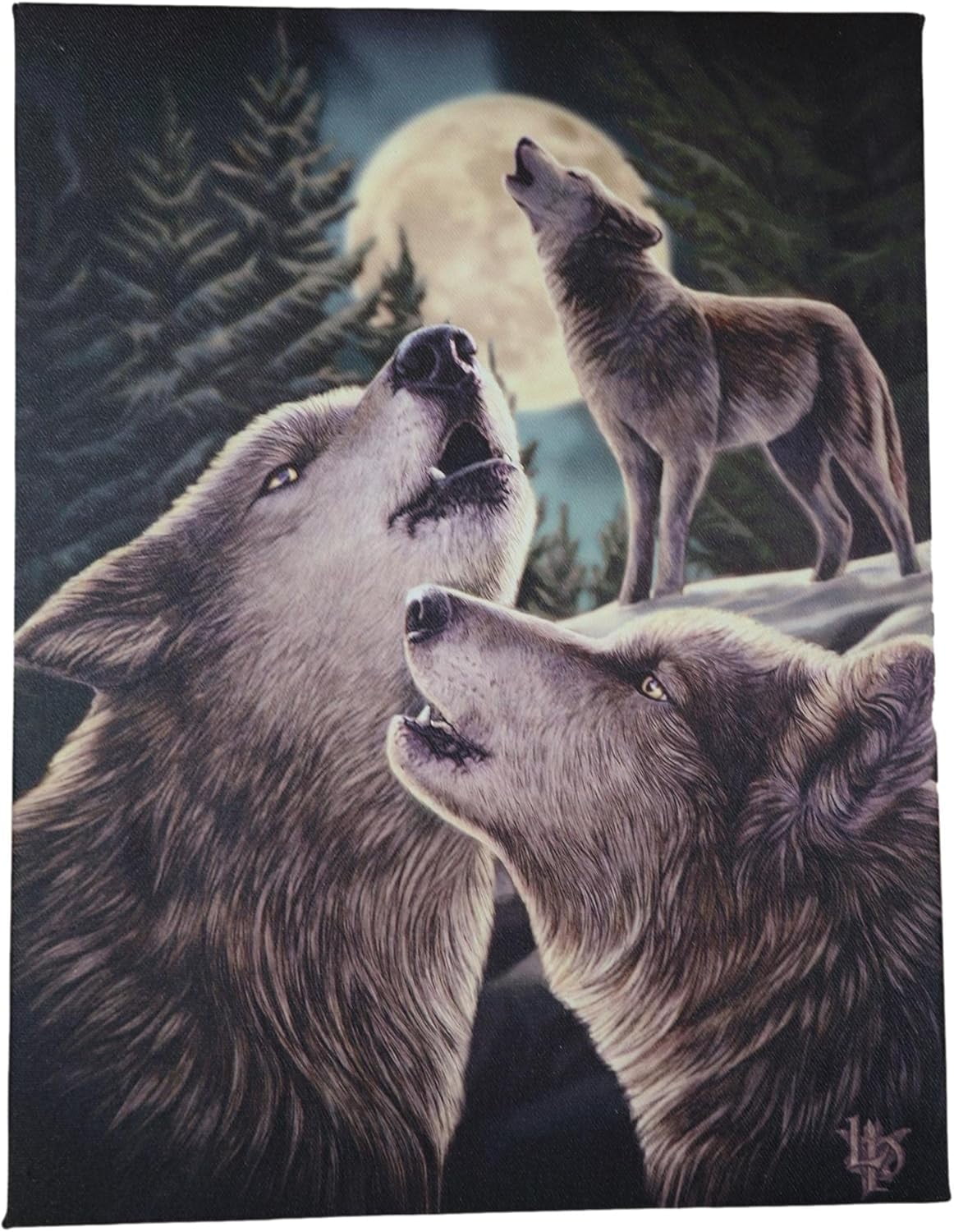 AABERIC Lisa Parker Fantasy Wicca Witchcraft Occult Magic Premium ...