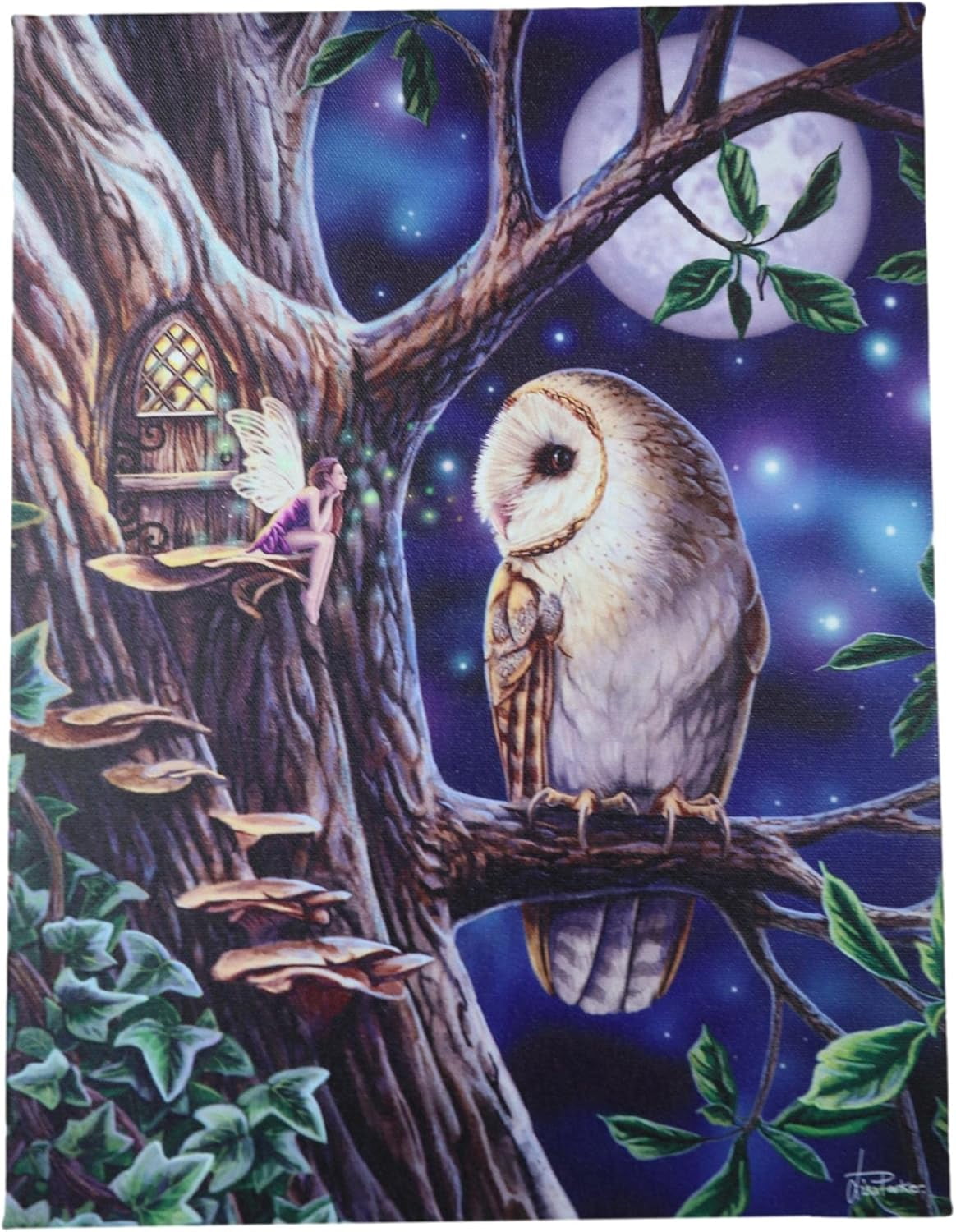 AABERIC Lisa Parker Fantasy Wicca Witchcraft Occult Magic Premium ...