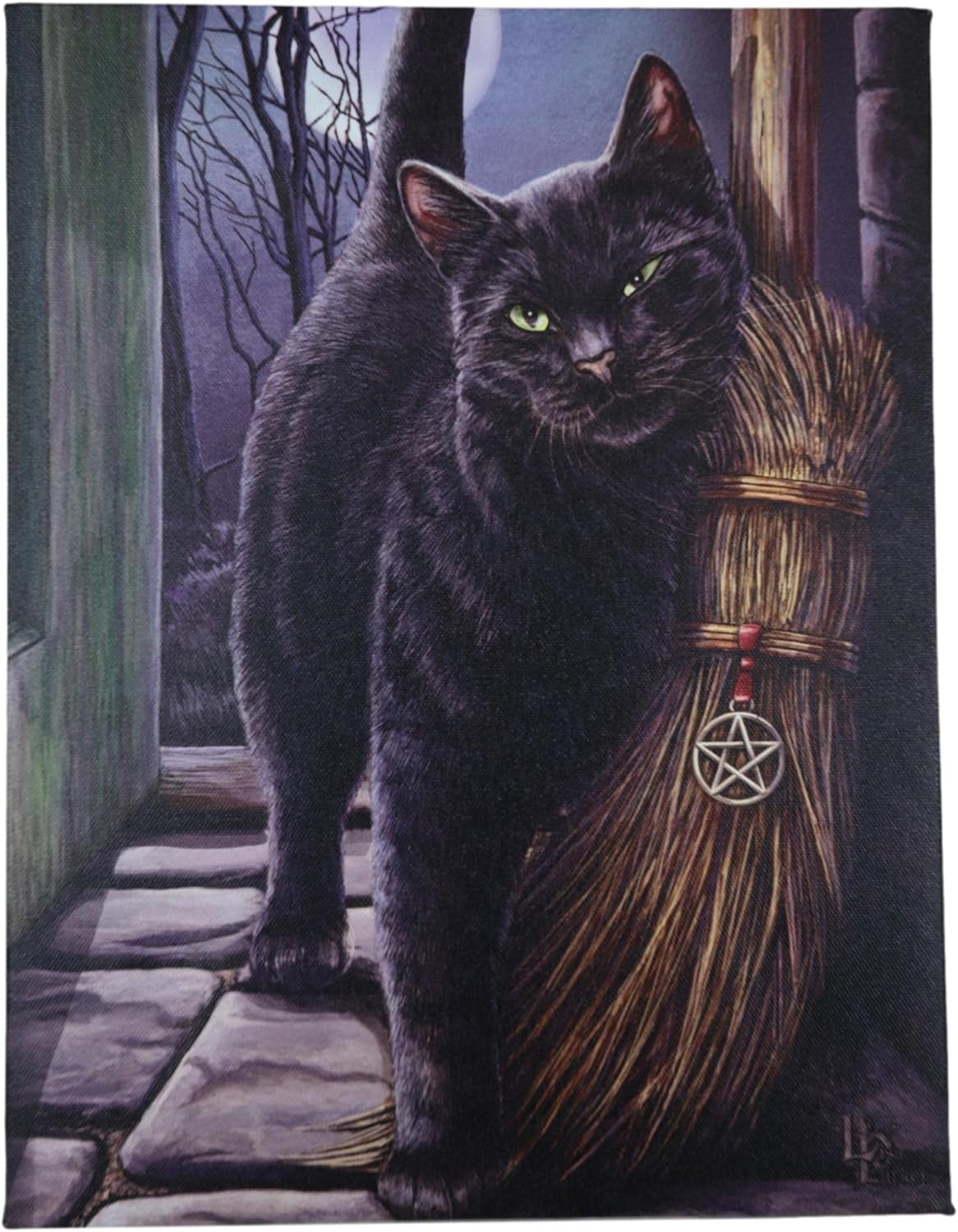 AABERIC Lisa Parker Fantasy Wicca Witchcraft Occult Magic Premium ...