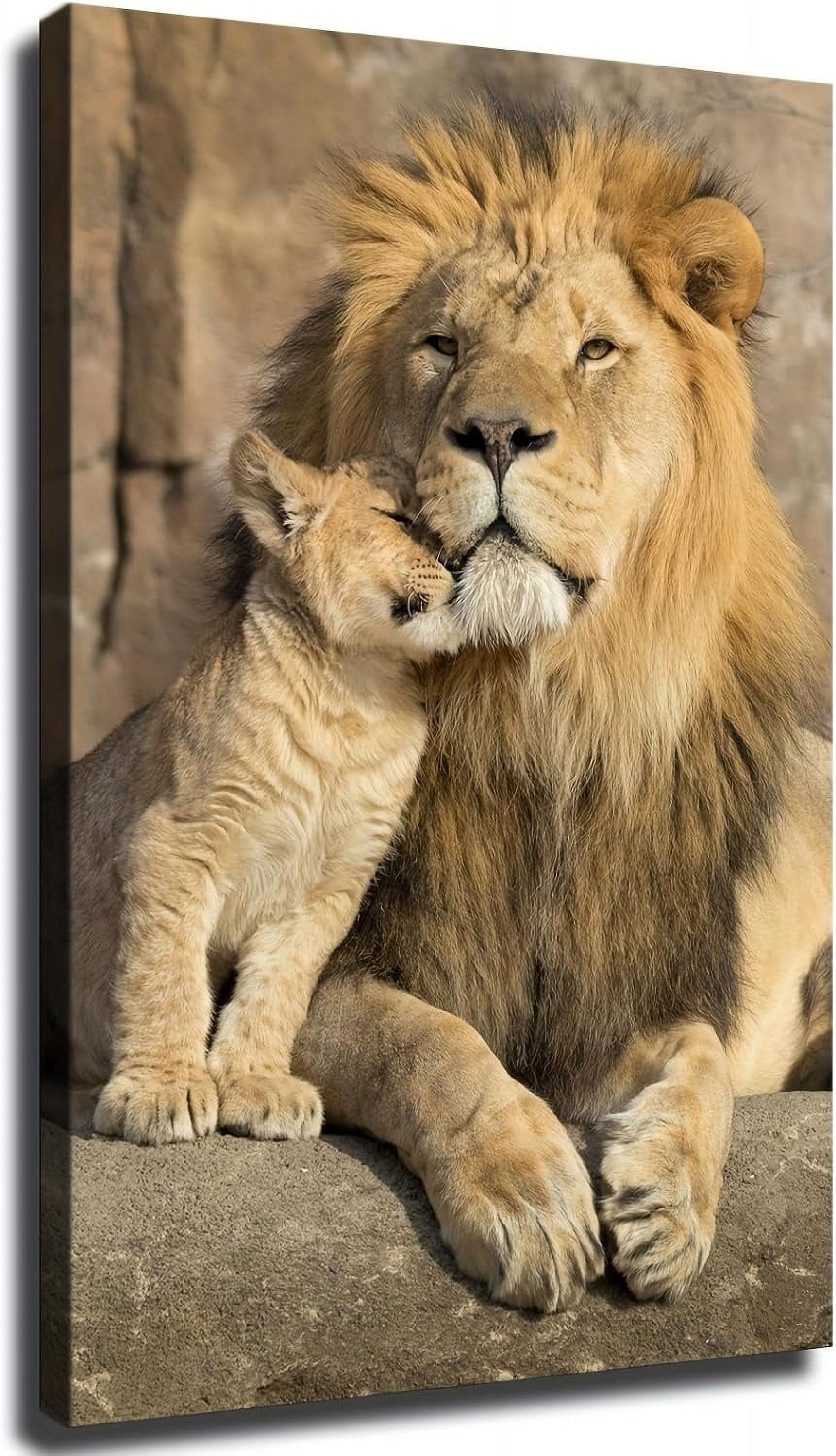 AABERIC Male Lion And Lion Cub Animals Poster Picture Print Canvas Wall ...