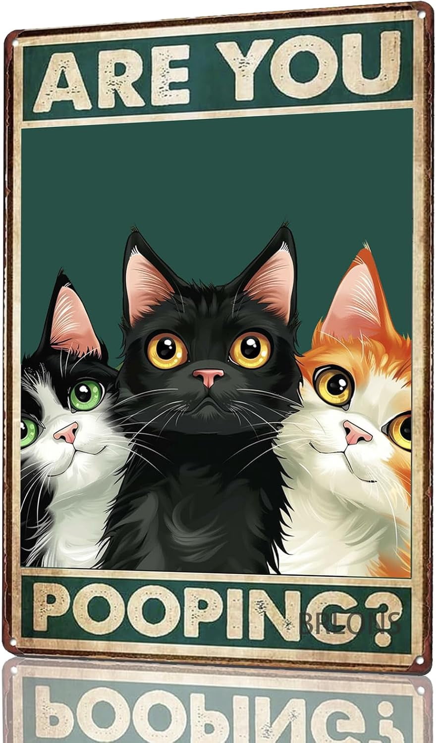 AABERIC Metal Sign Cats Are You Pooping 8x12Inch Aluminum Wall Mount ...