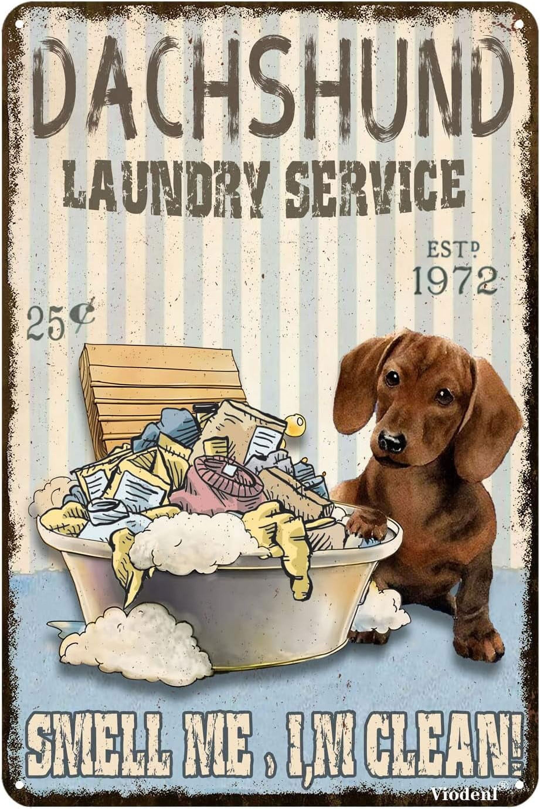 AABERIC Metal Signs Dachshund Laundry Service Tin Signs Vintage Retro ...