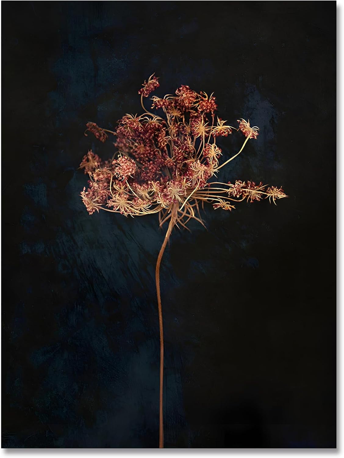 AABERIC Moody Decor Vintage Botanical Flower Wall Art Victorian Gothic ...